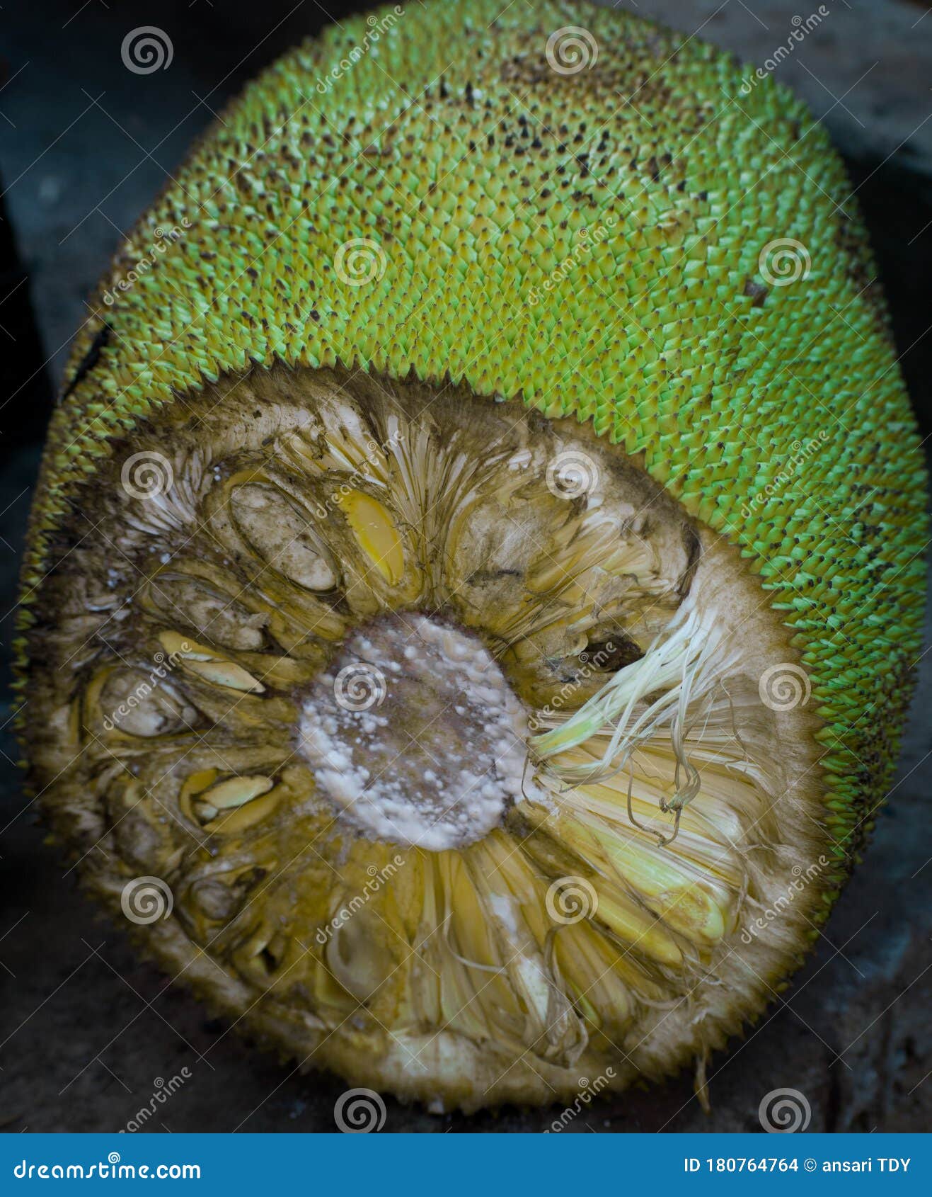 Piece of jackfruit stock photo. Image of indianfruit - 180764764