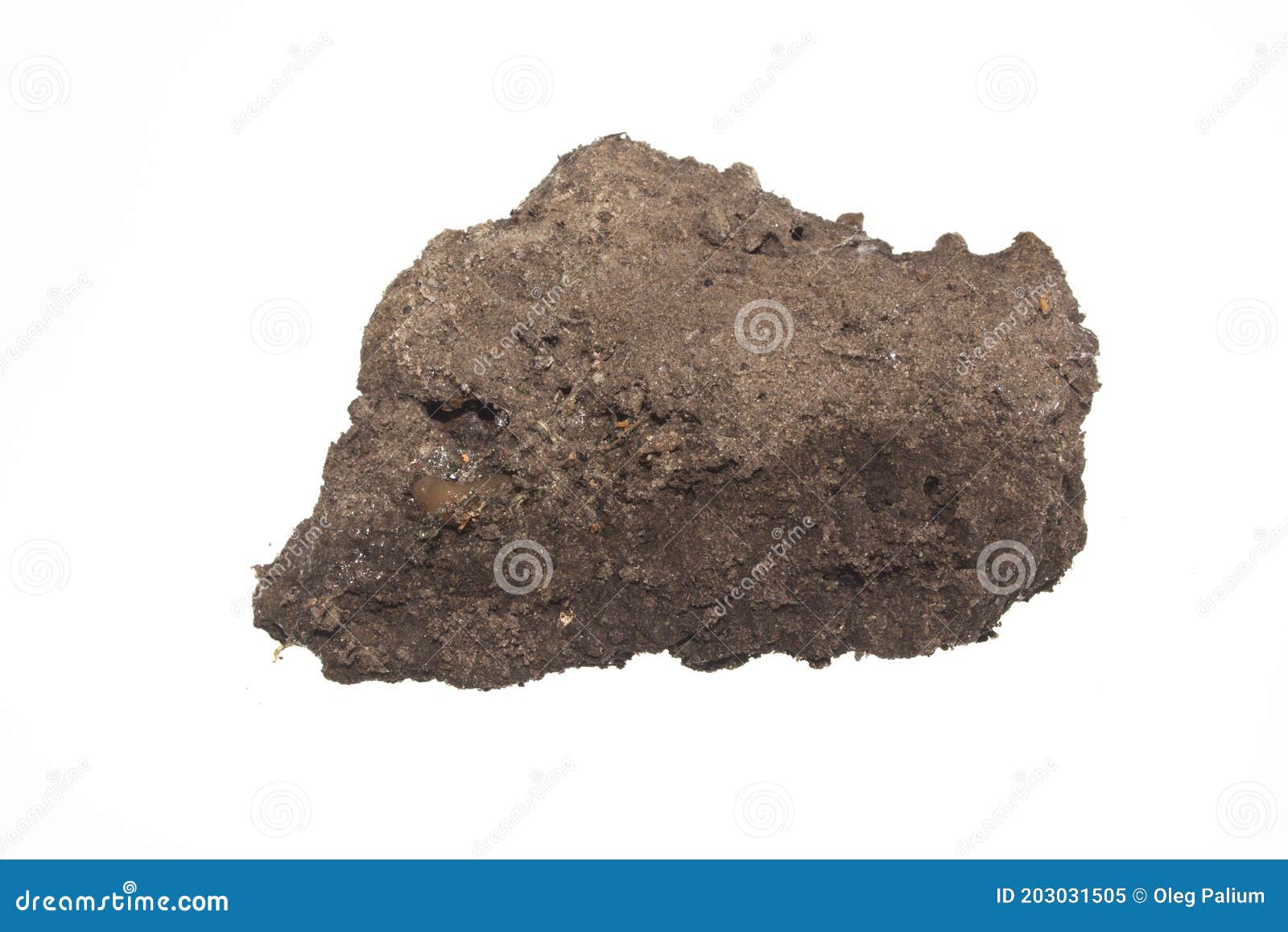 Piece of Land Isolated on White Background Stock Image - Image of earth ...