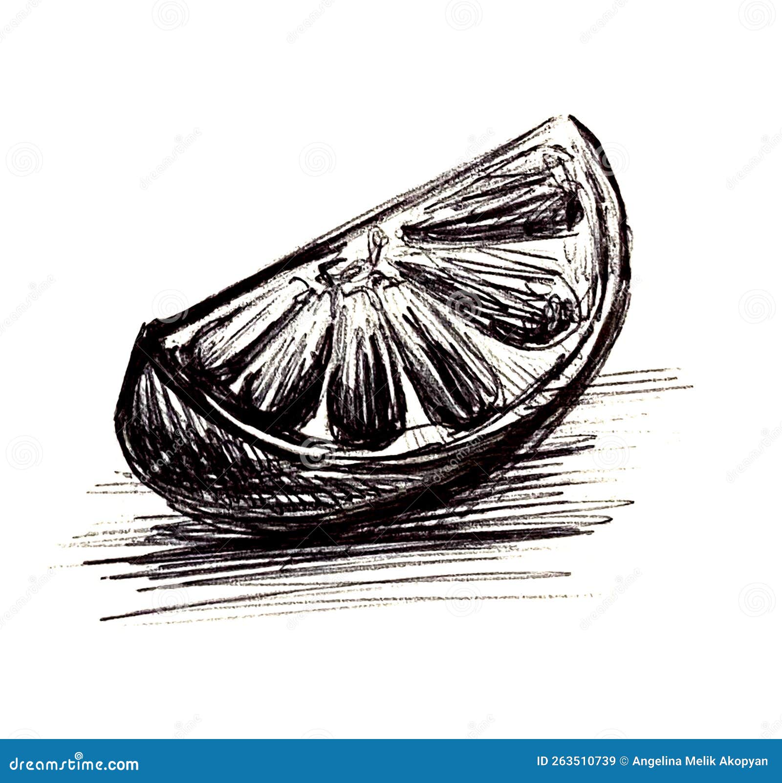 Lemon Pencil Drawing