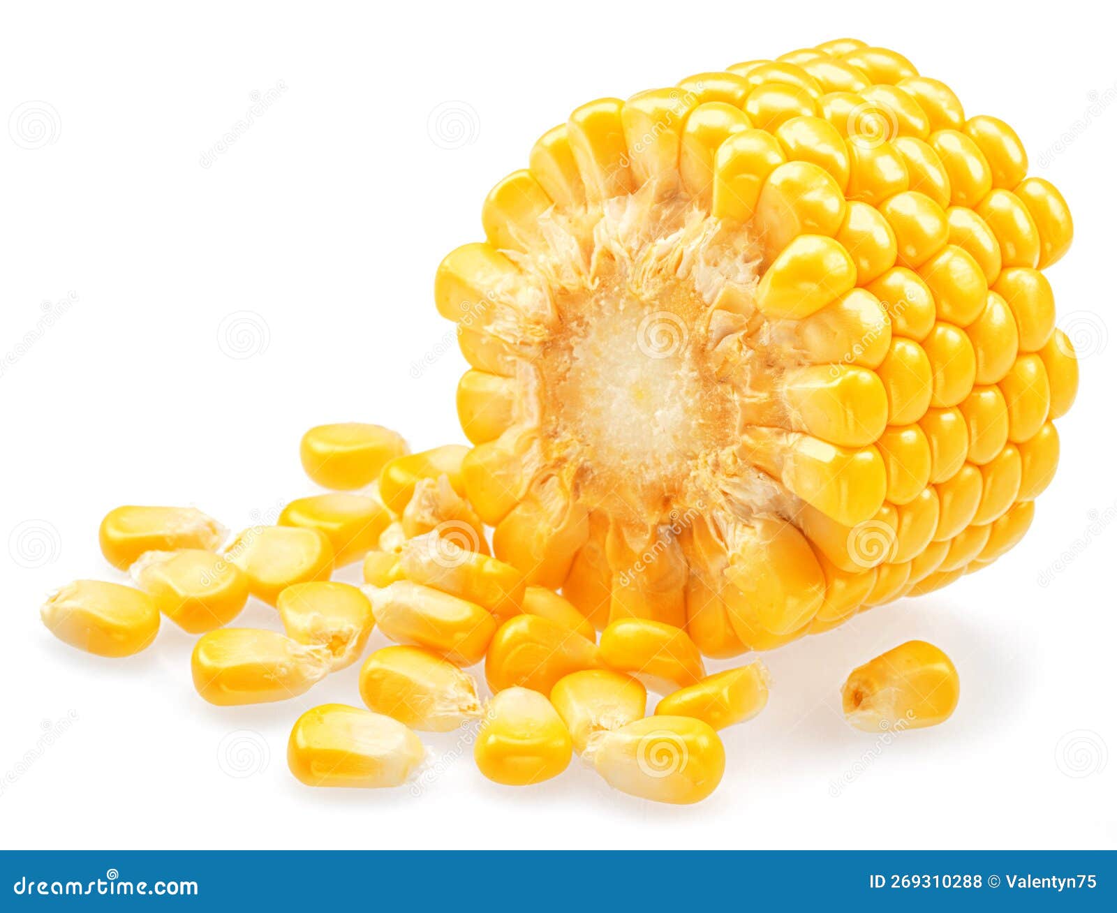Piece of Maize Cob or Corn Cob and Corn Seeds Isolated on White ...