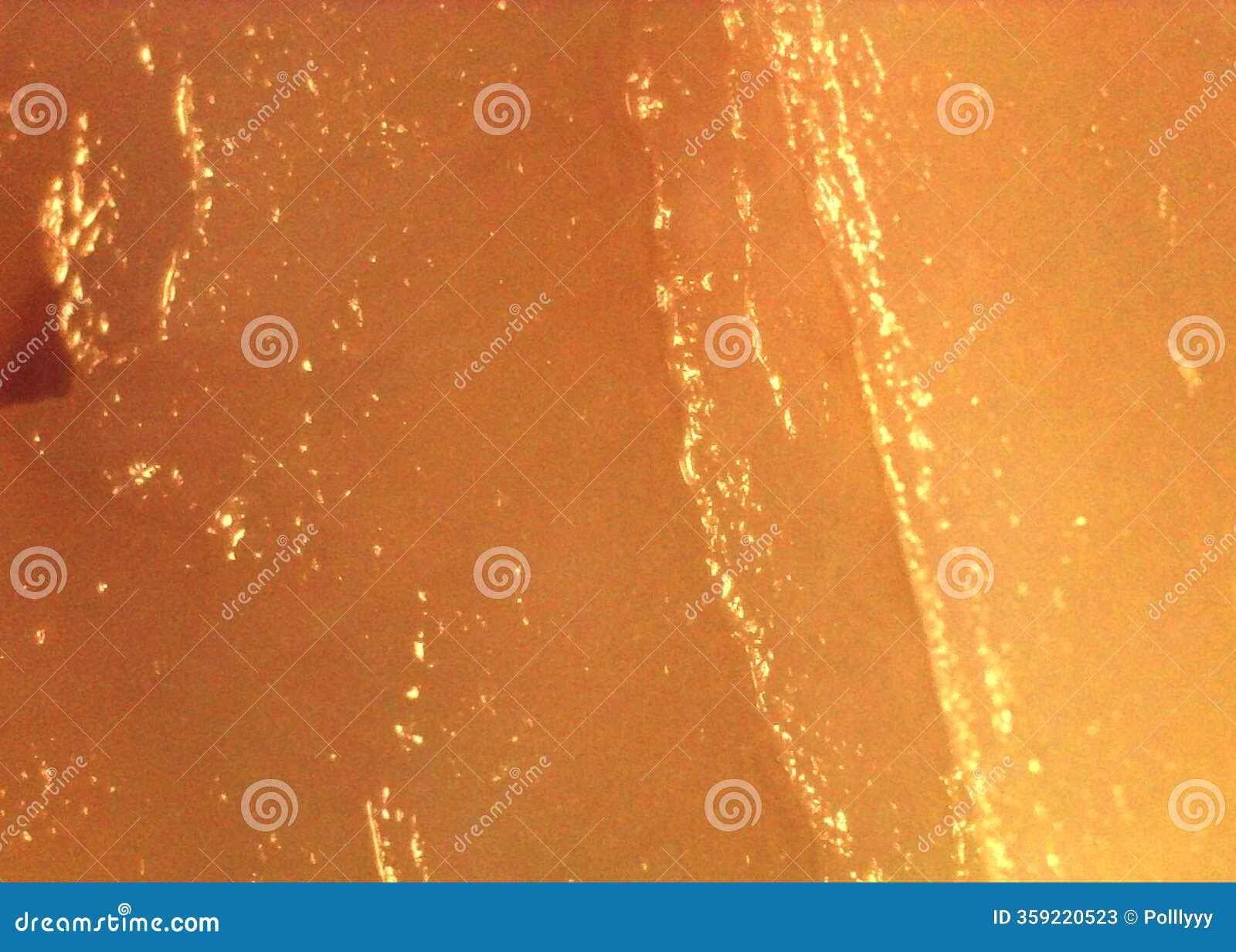 A Piece of Meat in Detail. Image Under the Microscope, Micro ...