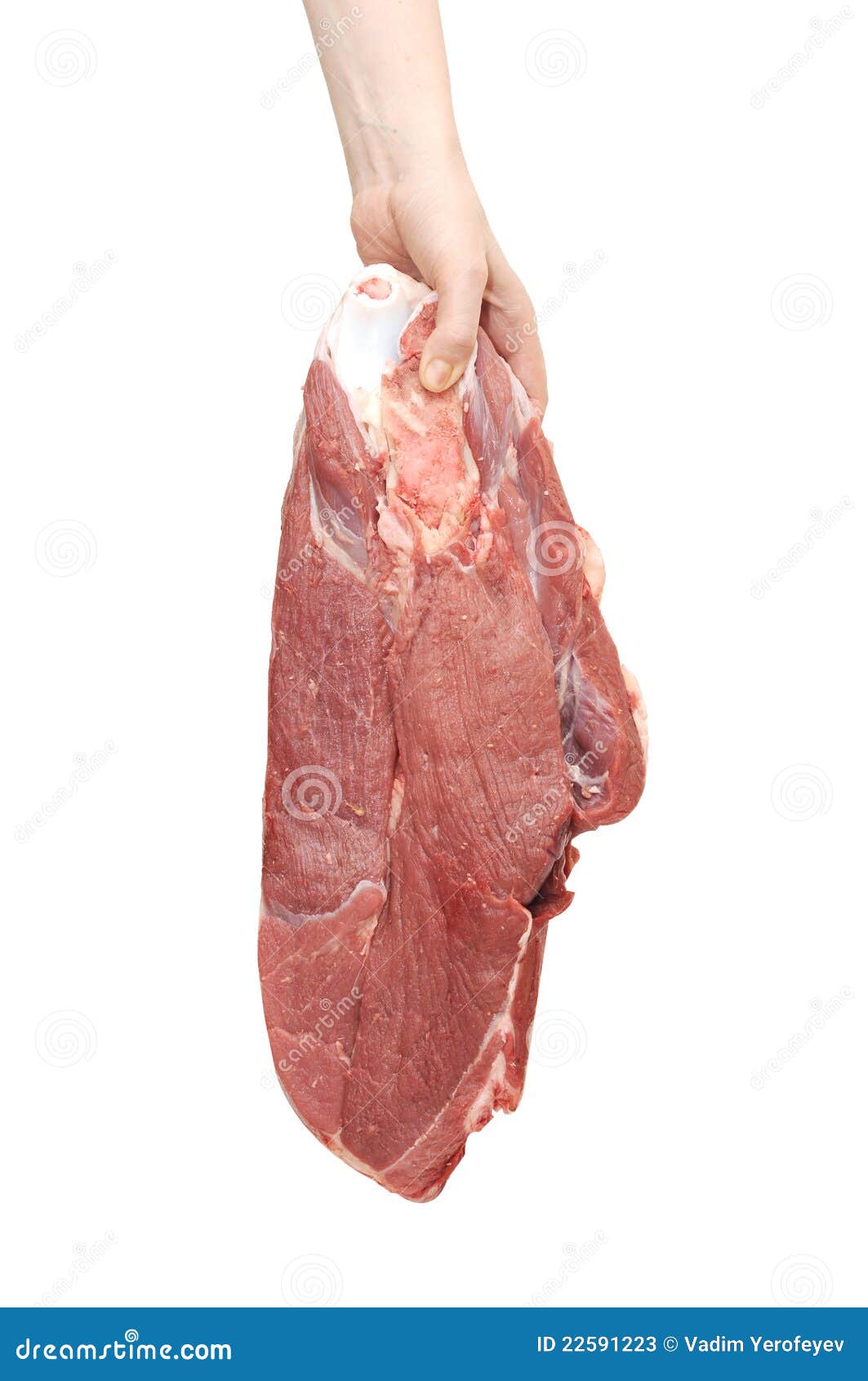 A Piece of Meat in Female Hand Stock Image - Image of agriculture ...