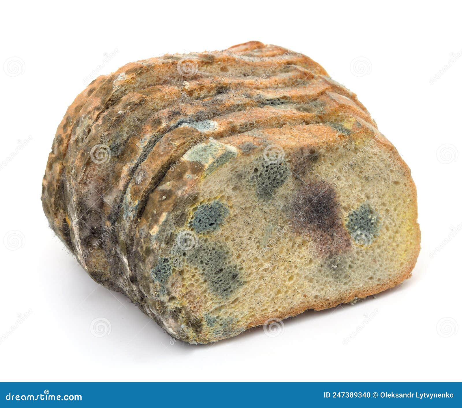 Piece of moldy bread stock photo. Image of illness, moldy - 247389340