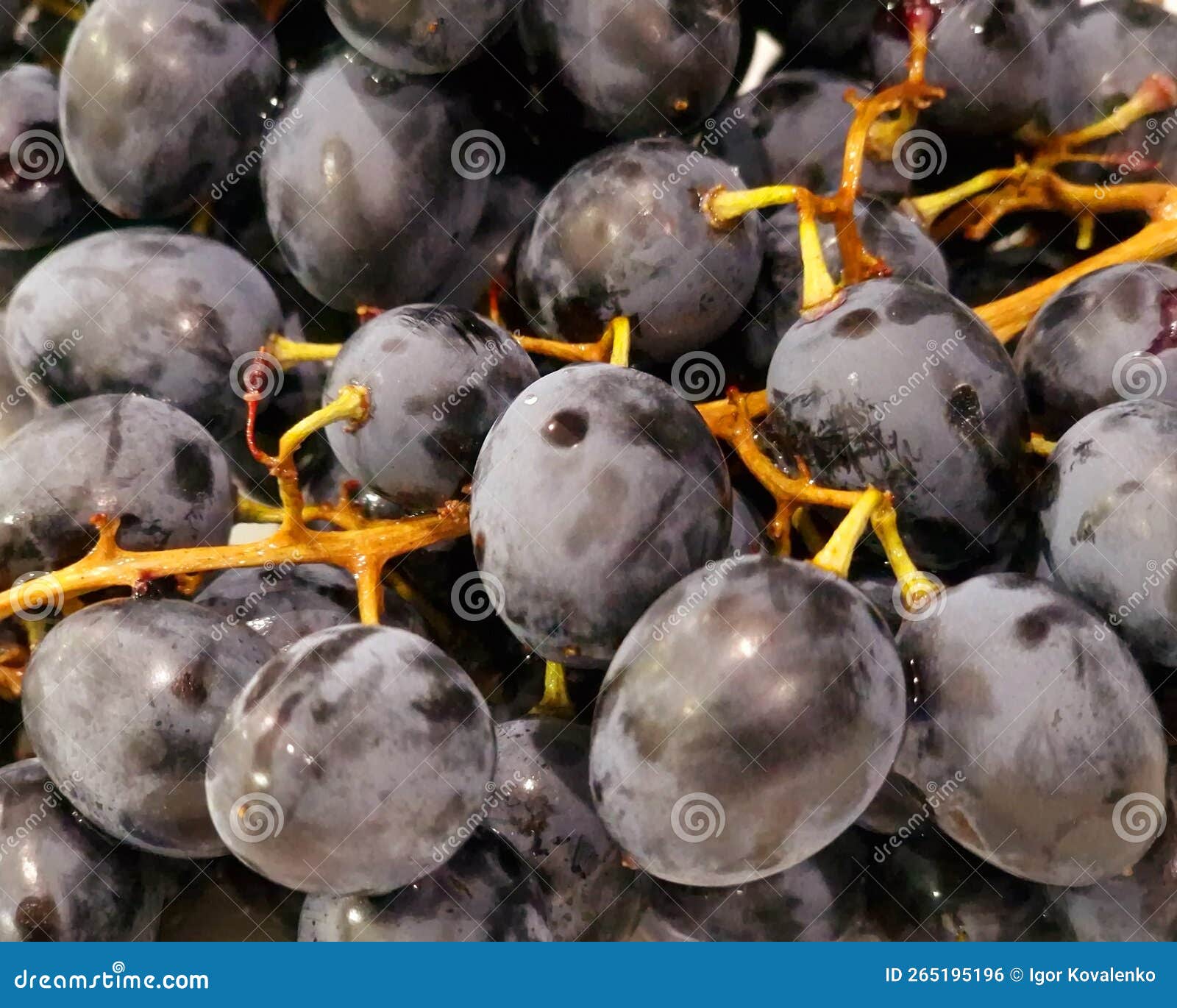Piece of Music for Playing the Piano, Classical Music Stock Photo ...