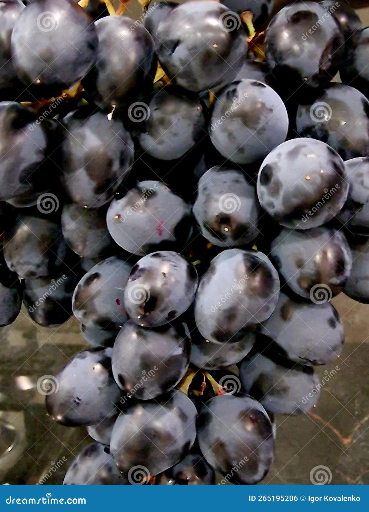 Piece of Music for Playing the Piano, Classical Music Stock Photo ...