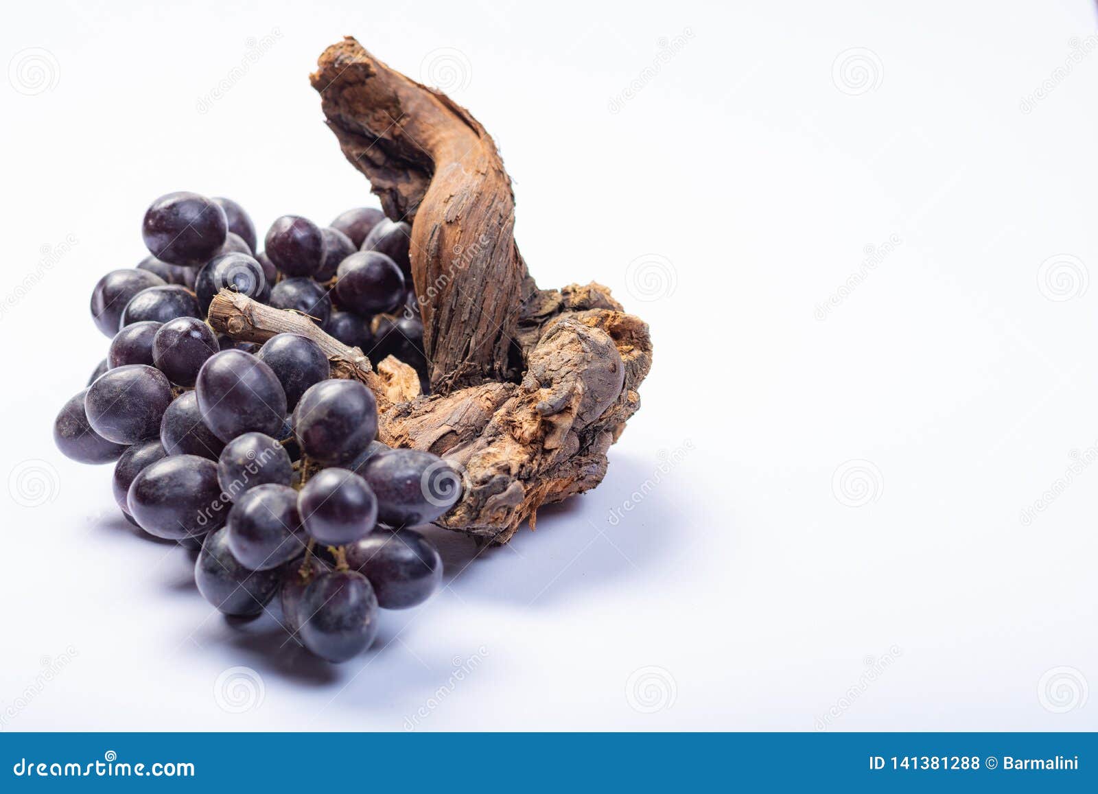 Piece of Old Grapevine and Bunch of Black Grapes on White Background ...