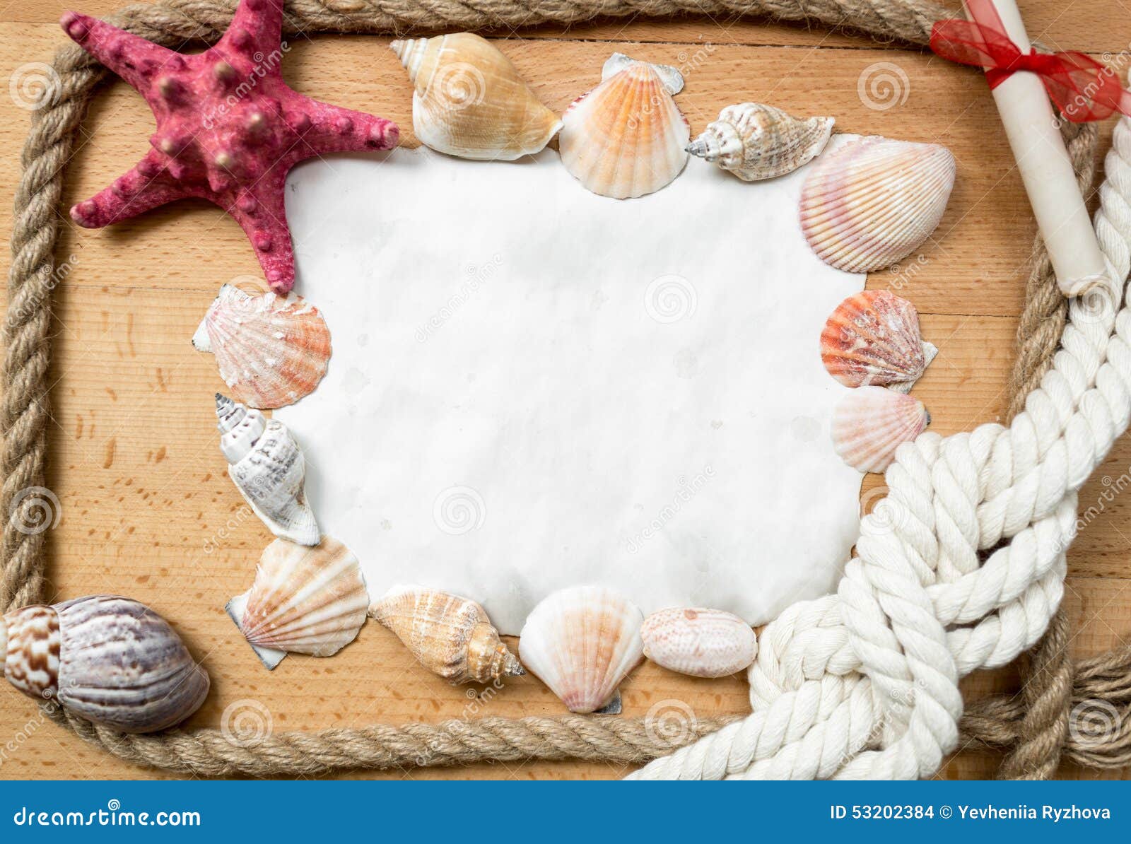 Piece of Paper with Border Made from Marine Knots and Seashells Stock ...