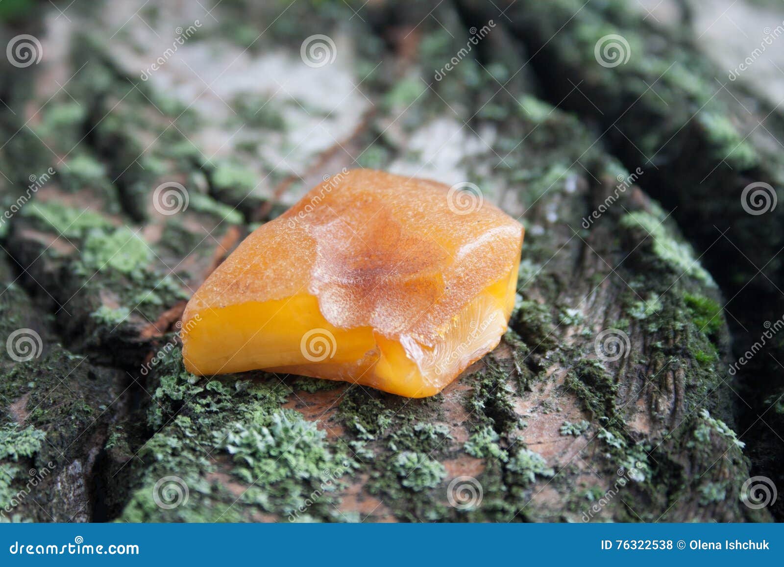 A Piece of Raw Amber on a Background of an Old Tree. Slice the Insides ...