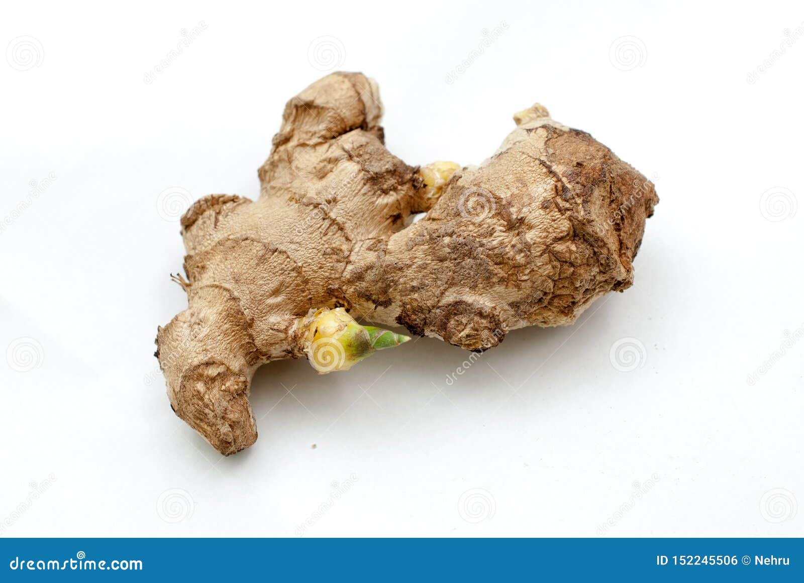 Piece of a Rotten Ginger on White Stock Photo - Image of ginger, food ...