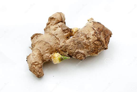 Piece of a Rotten Ginger on White Stock Photo - Image of ginger, food ...