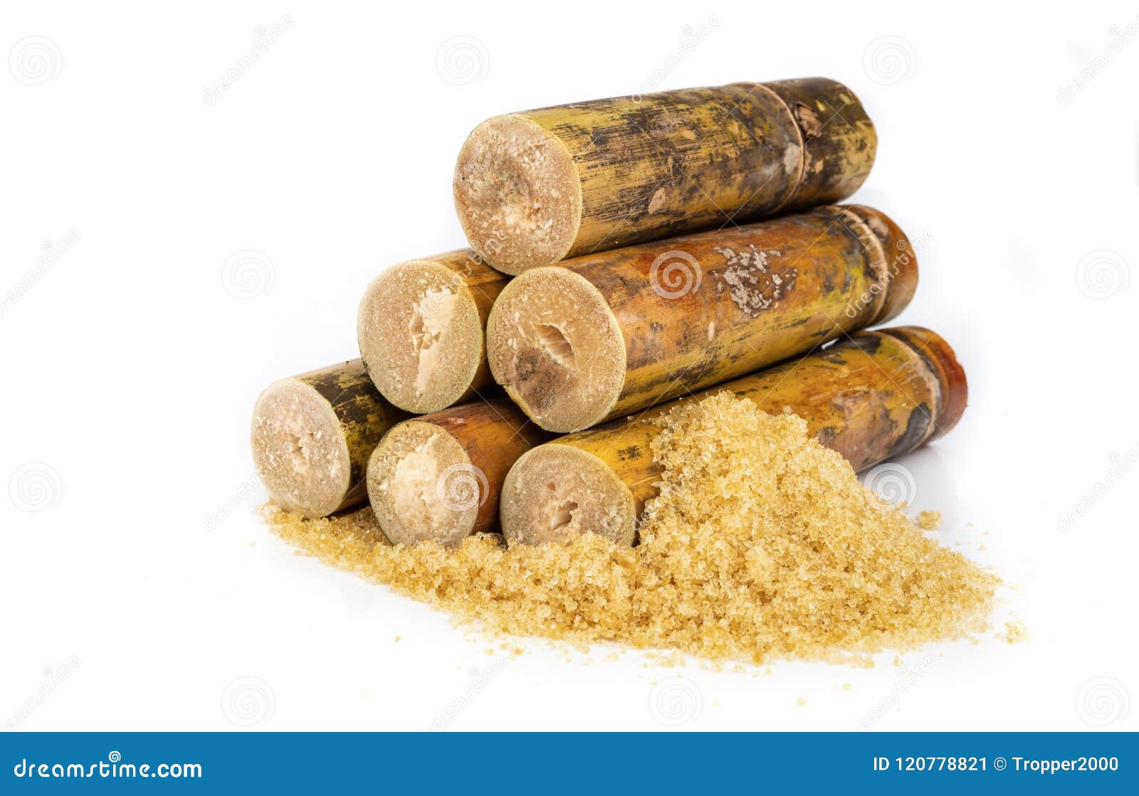 Dry Cane Isolated On White Background, Top View. Dry Reed Isolated On ...