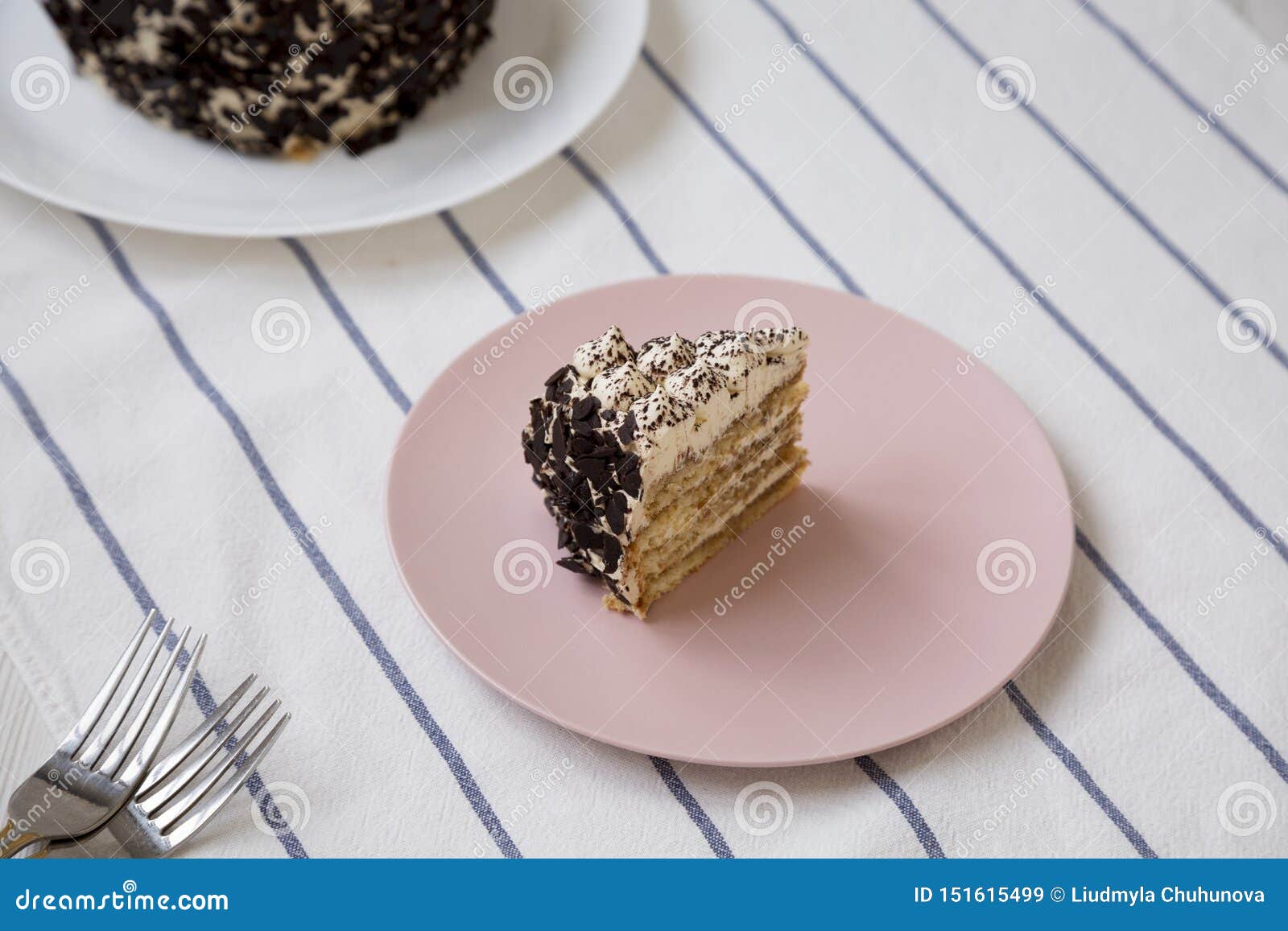 A Piece of Tiramisu Cake on a Pink Plate, Low Angle View. Closeup Stock ...