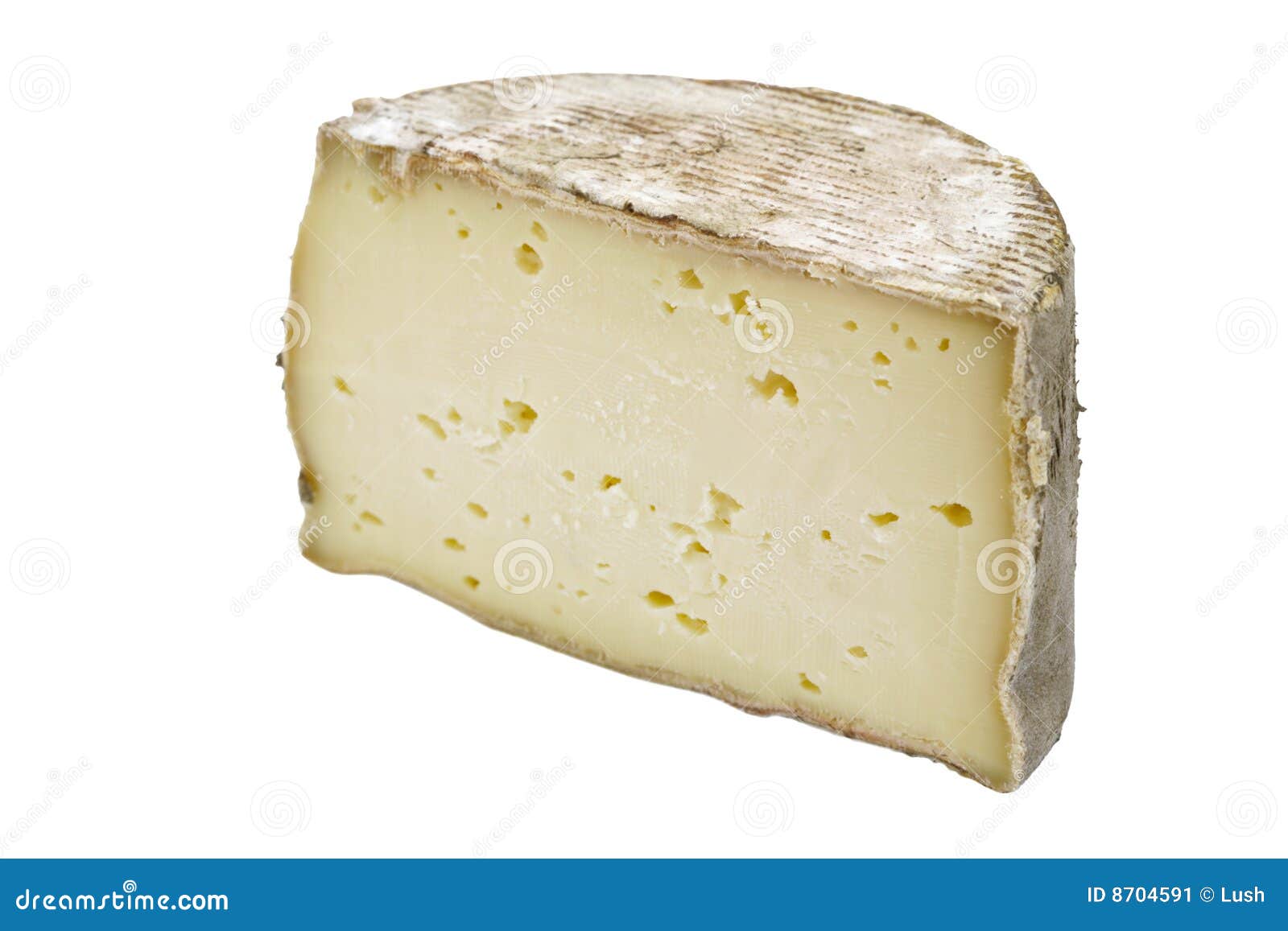 Piece of Tomme Cheese stock image. Image of closeup, france - 8704591