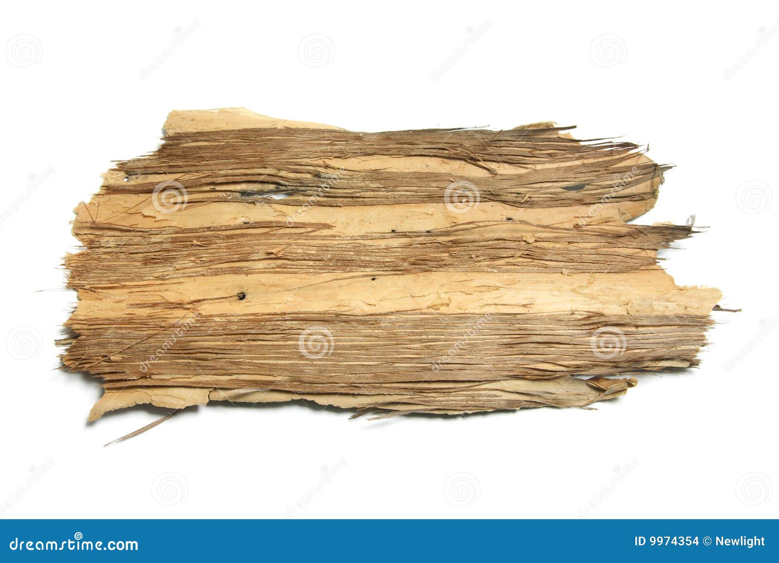 Piece of Tree Bark stock photo. Image of layer, white - 9974354