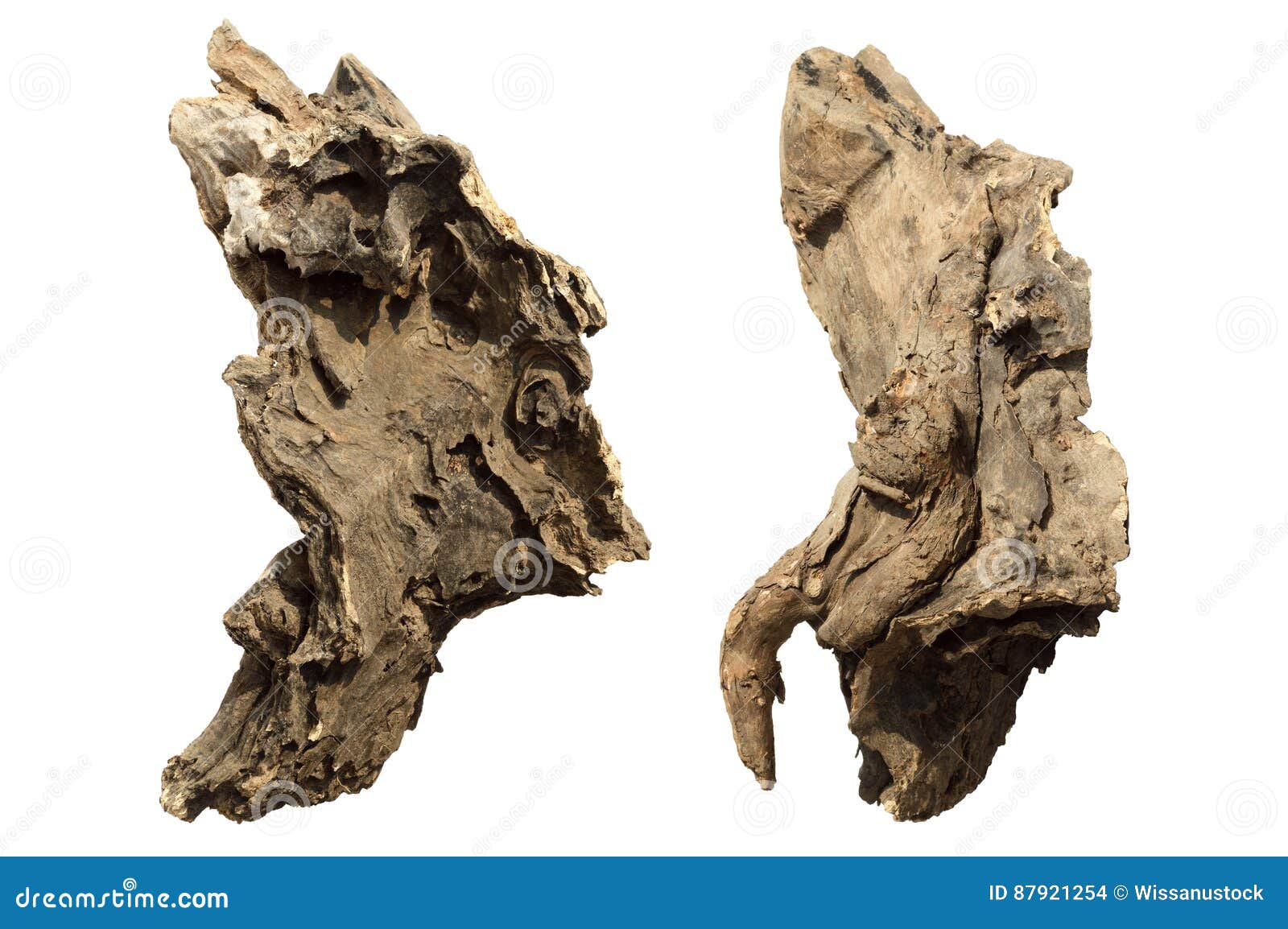 Piece of tree trunk stock photo. Image of bark, peel - 87921254