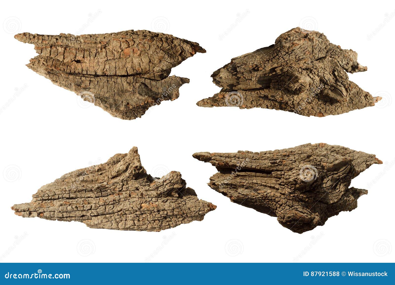 Piece of tree trunk stock photo. Image of cracked, broken - 87921588