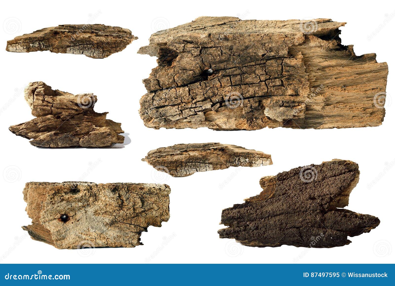 Piece of tree trunk stock image. Image of trunk, rough - 87497595