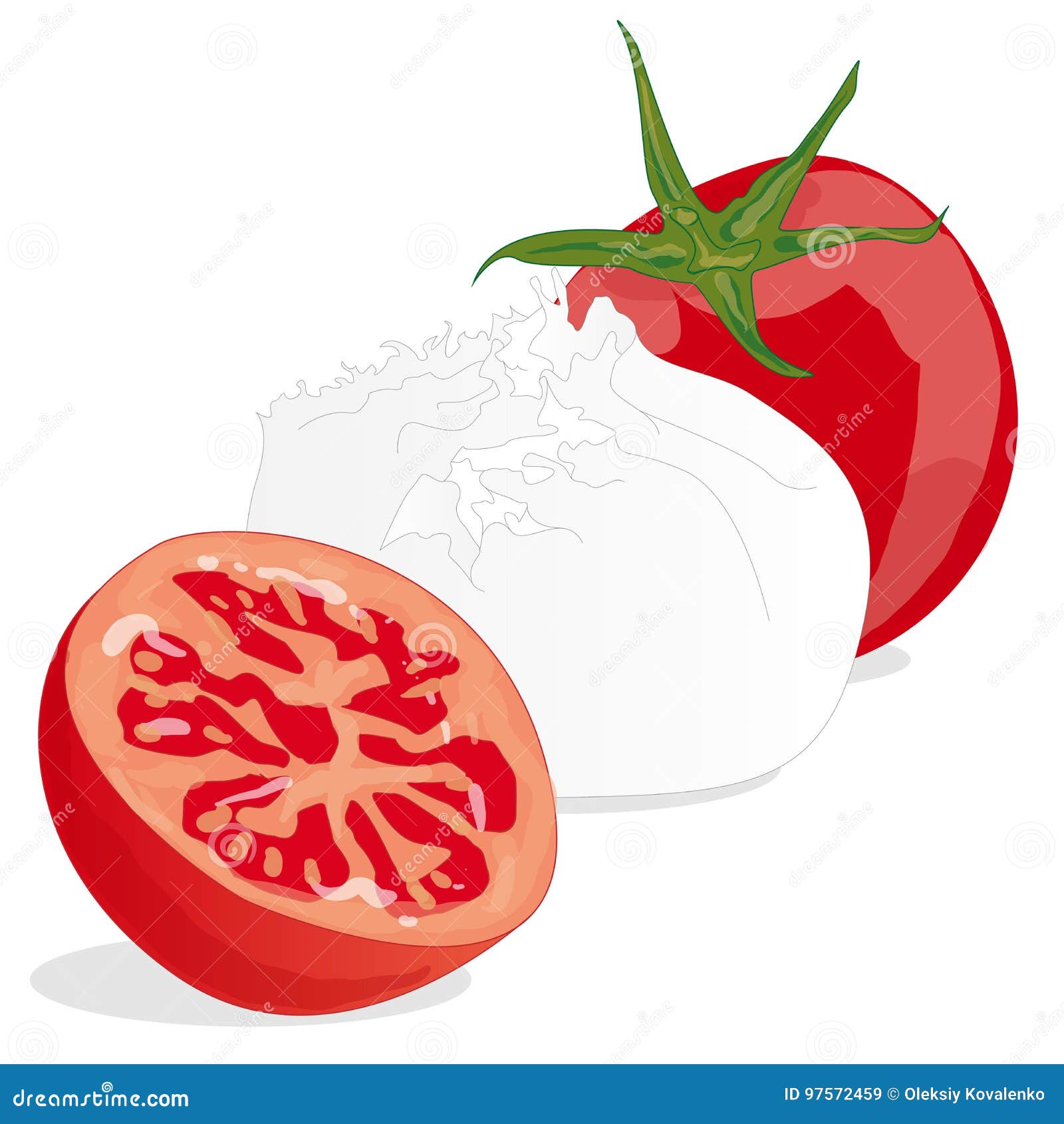 Piece of White Mozzarella Isolated. Stock Vector - Illustration of ...