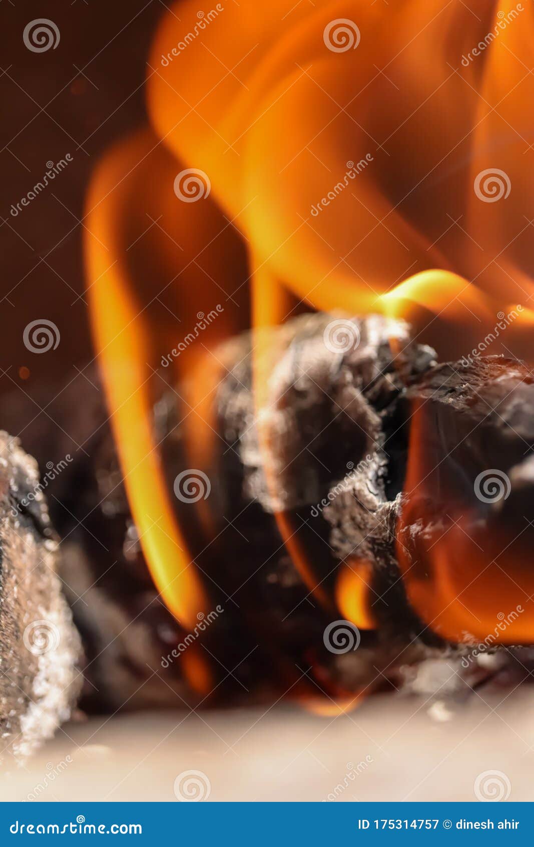 Piece of Wood Burning in Fire Lit by Sunlight Placed Diagonally Stock ...