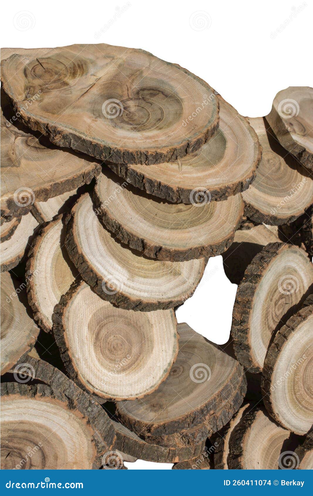 Piece of Wood Stump Isolated on Background. Round Wood Stump Stock ...