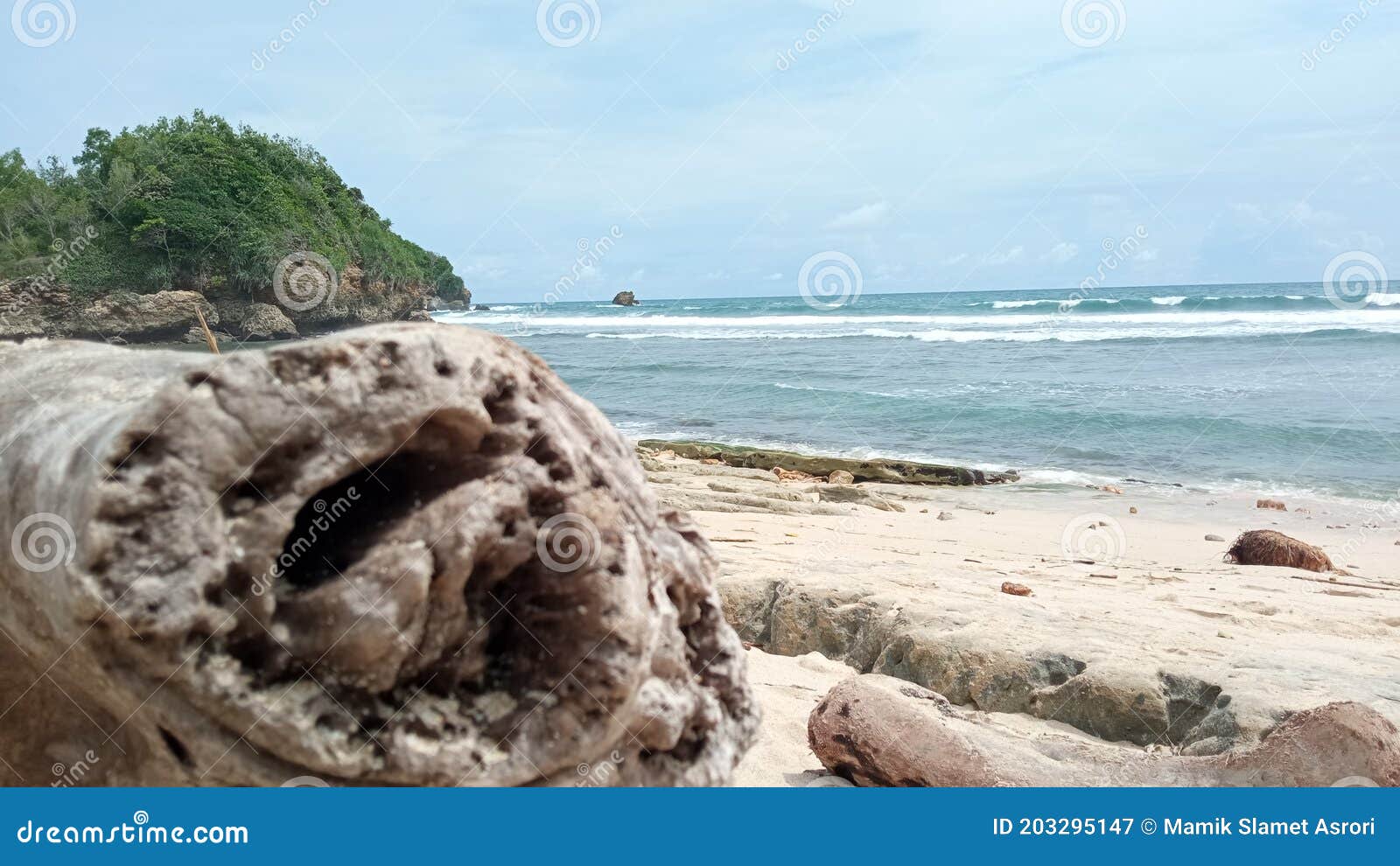 A Piece of Wood Washed Ashore Stock Image - Image of wave, coast: 203295147