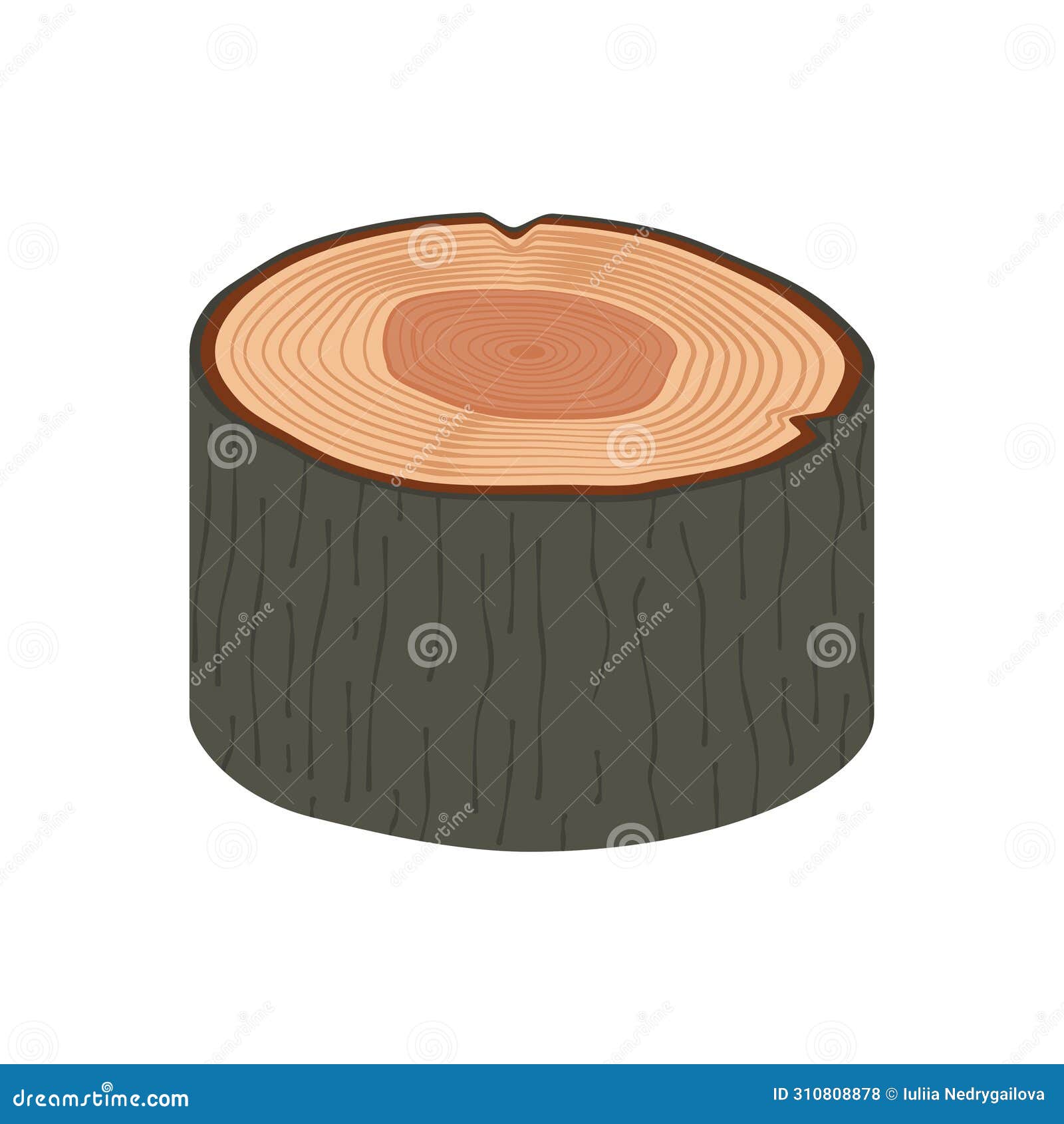 Piece of Wooden Log with Bark, Texture on Cut, Vector Stock Vector ...