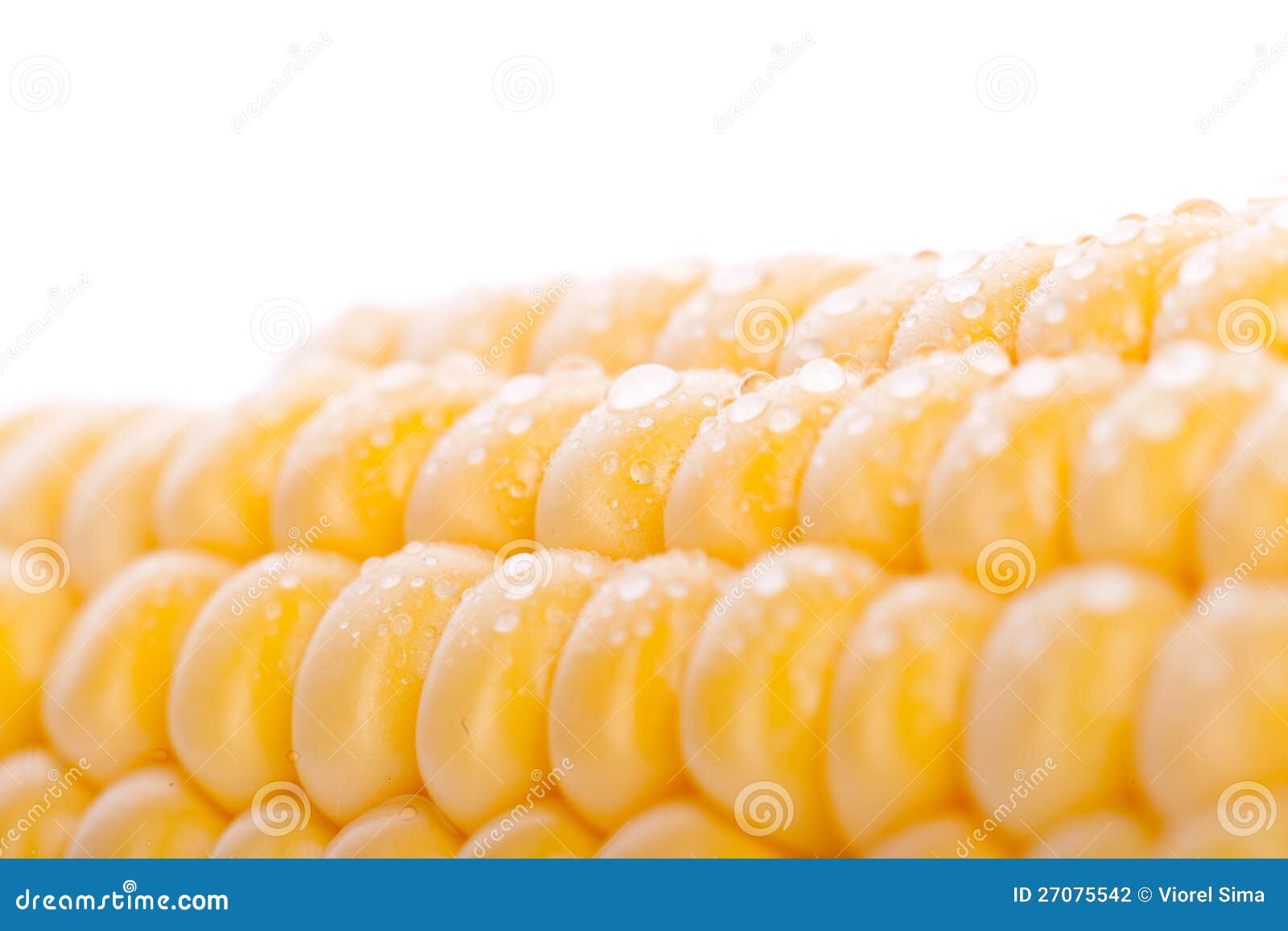 A piece of yellow corn stock photo. Image of health, healthy - 27075542