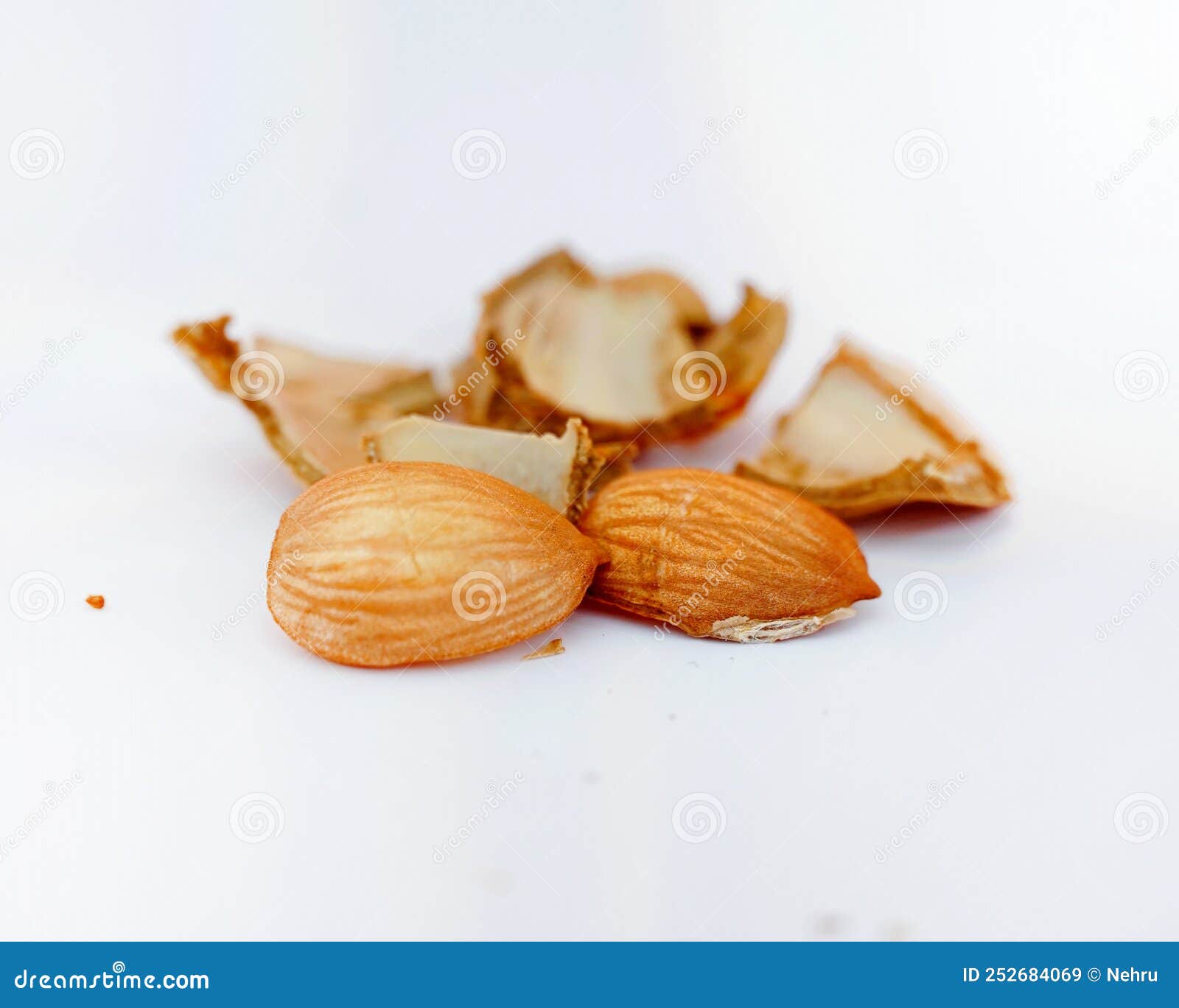 Pieces of Apricot Kernel Seeds Isolated on White Background Stock Image ...