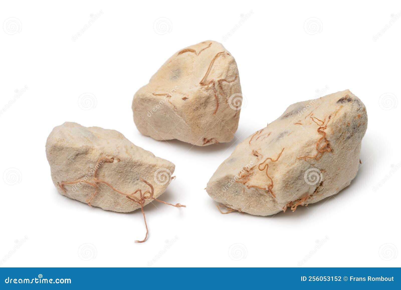 Fruit Pulp Under Microscope Stock Photography | CartoonDealer.com #50411480