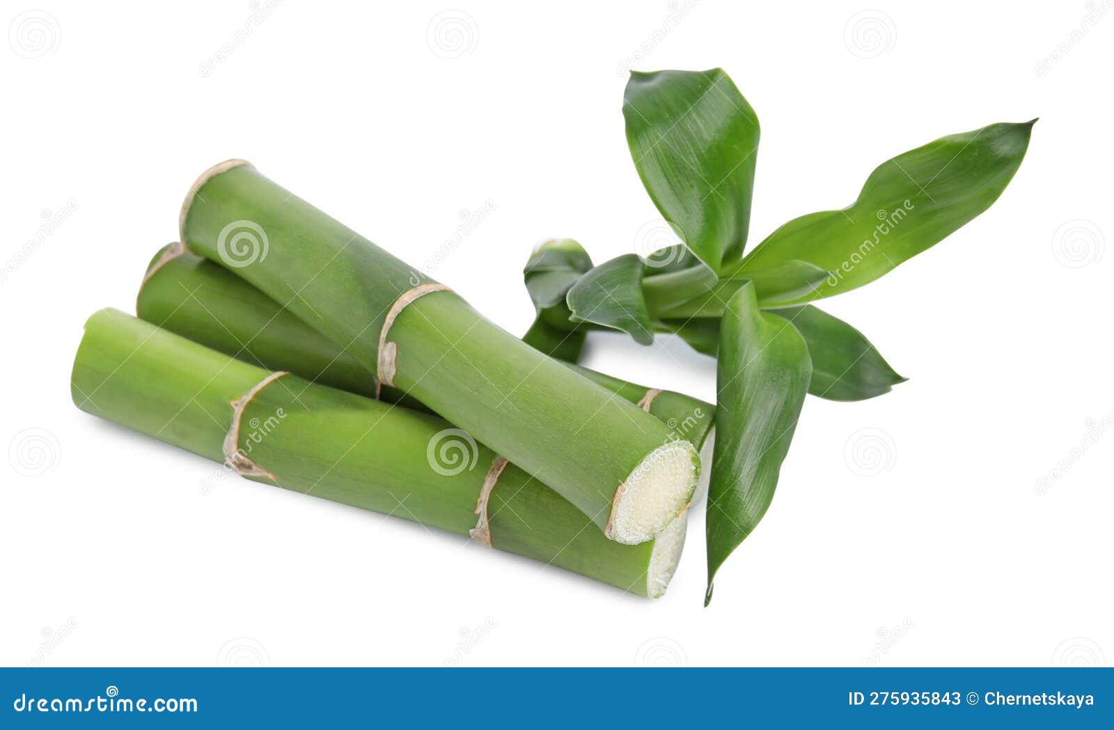 Pieces of Beautiful Green Bamboo Stems on White Background Stock Image ...