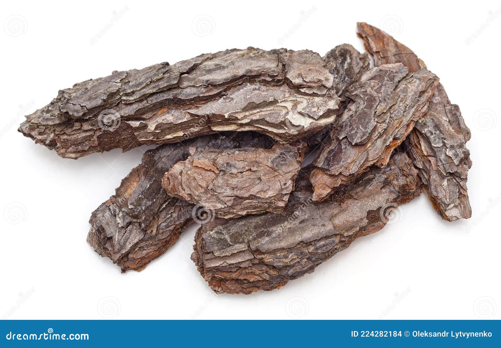 Brown Bark Of A Tree Royalty-Free Stock Photography | CartoonDealer.com ...