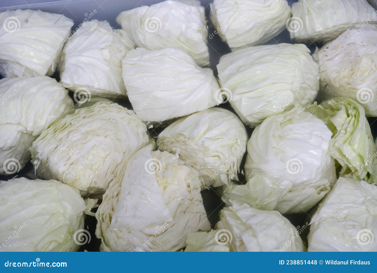 A Pieces of Cabbage during Soaking Process Stock Photo - Image of salad ...