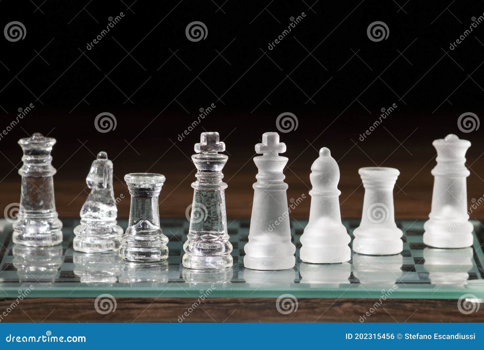 Pieces of Chess on a Chess Board. Rook, Knight, Bishop, Queen and King ...