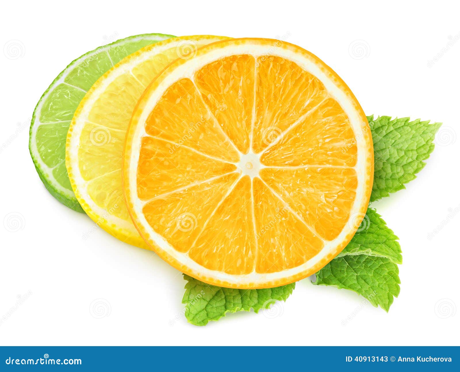 Pieces of citrus fruits stock image. Image of spearmint - 40913143