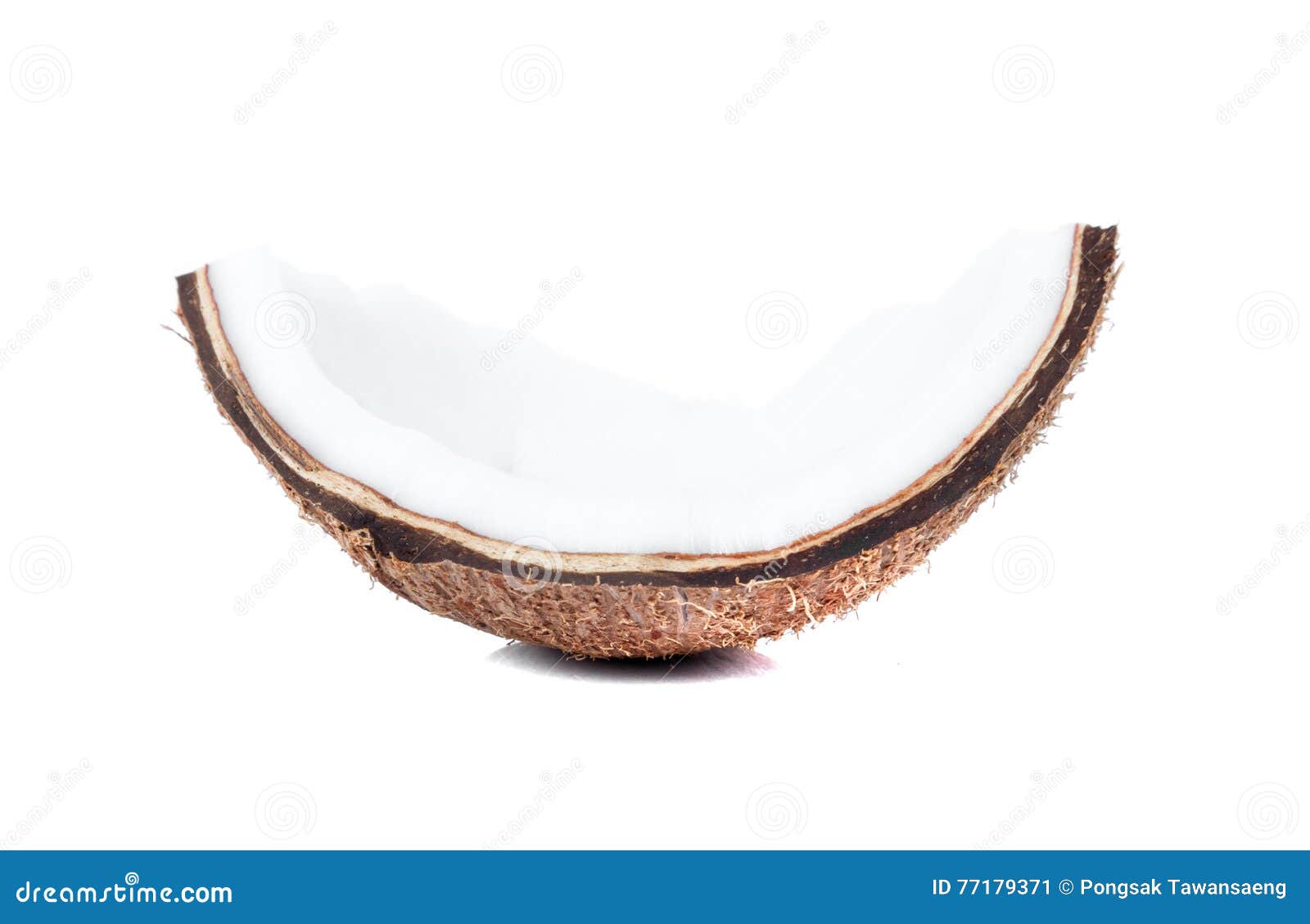 Pieces of Coconut Shell Broken on White Background Stock Image - Image ...