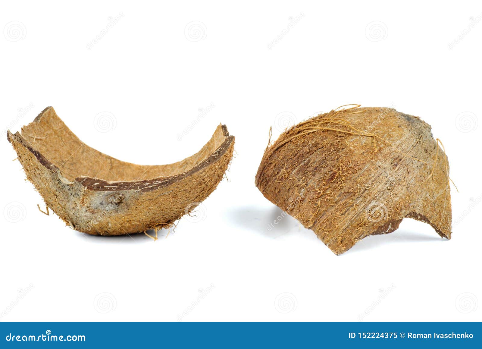 Pieces of coconut shell stock image. Image of vegetarian - 152224375