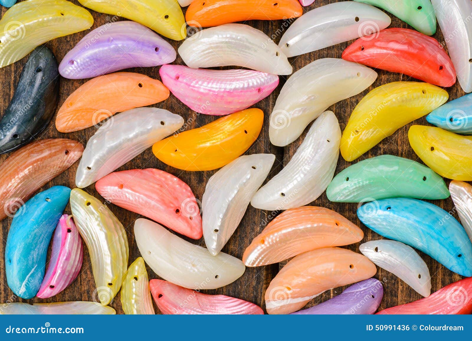 Pieces of colorful shells stock photo. Image of board - 50991436