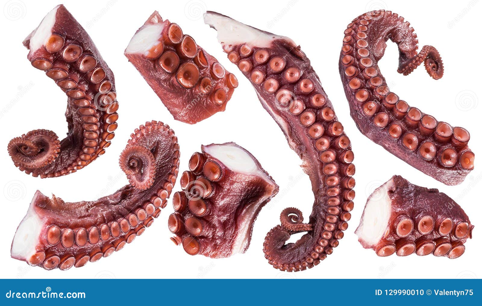 Red Devil Octopus Stock Photos - Free & Royalty-Free Stock Photos from ...