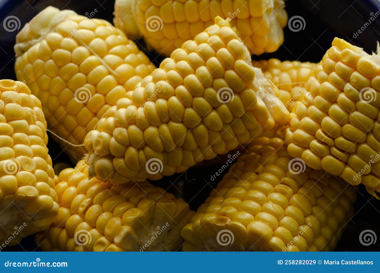 Pieces of Corn Cob. Corncob Cut in Pieces Stock Image - Image of ...