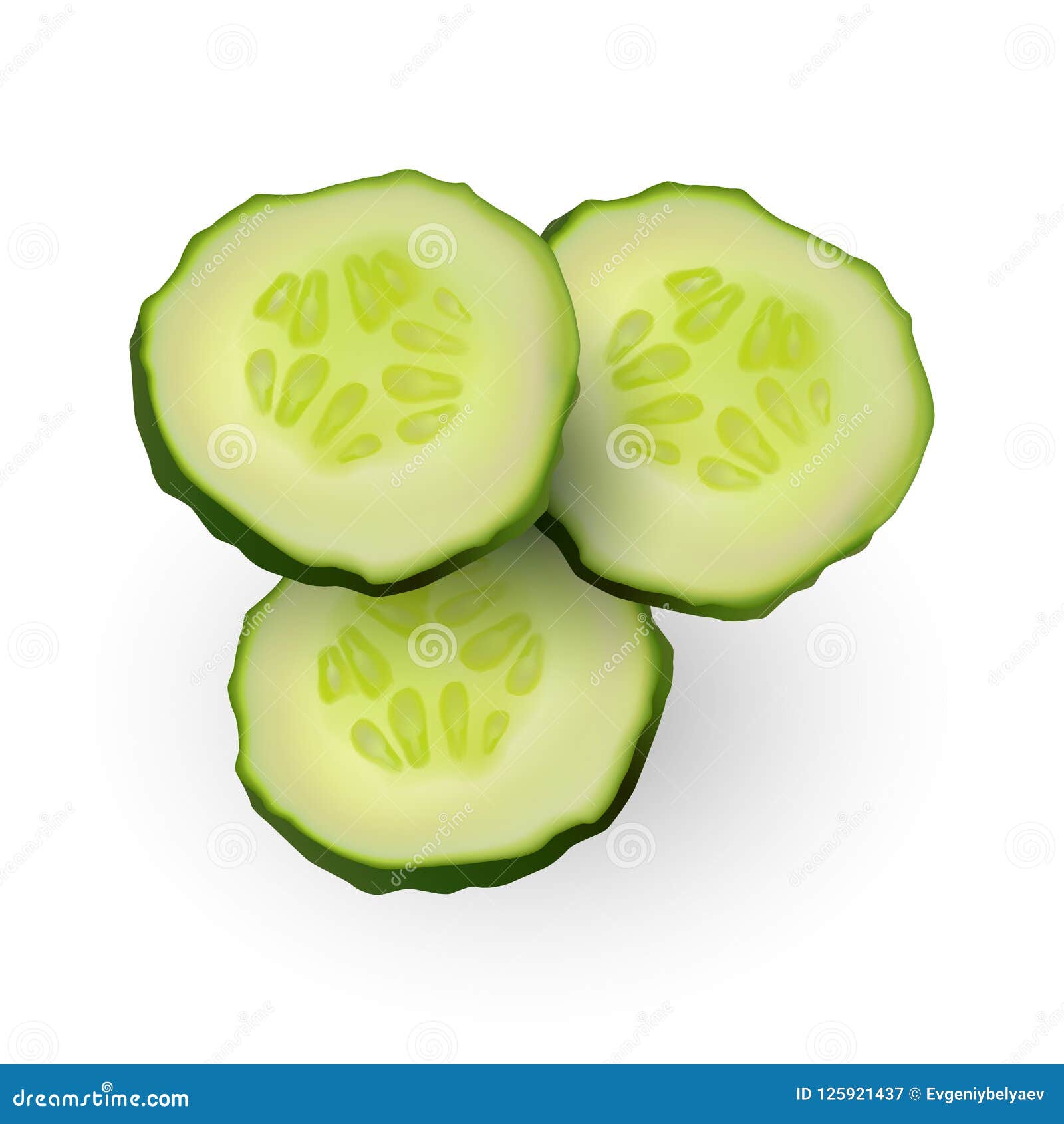 Slice Of Cucumber Isolated On White 3 Pieces Of Cucumber Vector