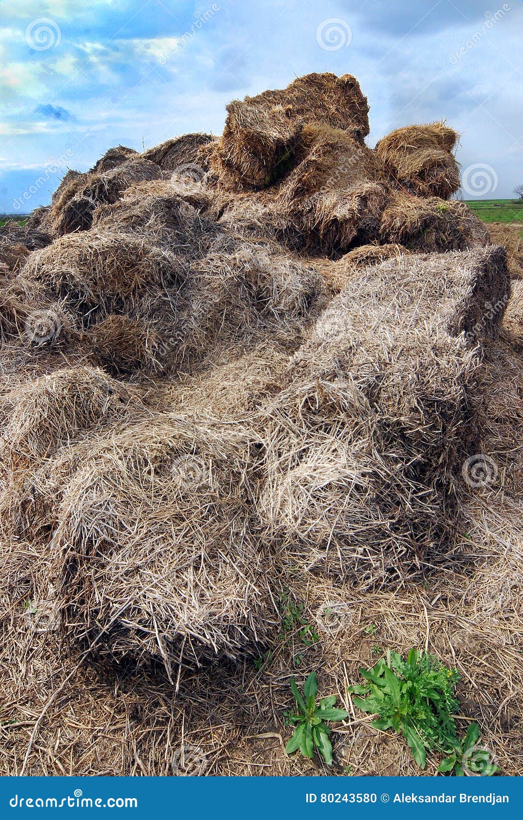 The Pieces in the Form of Hay Bales Stock Photo - Image of bales ...