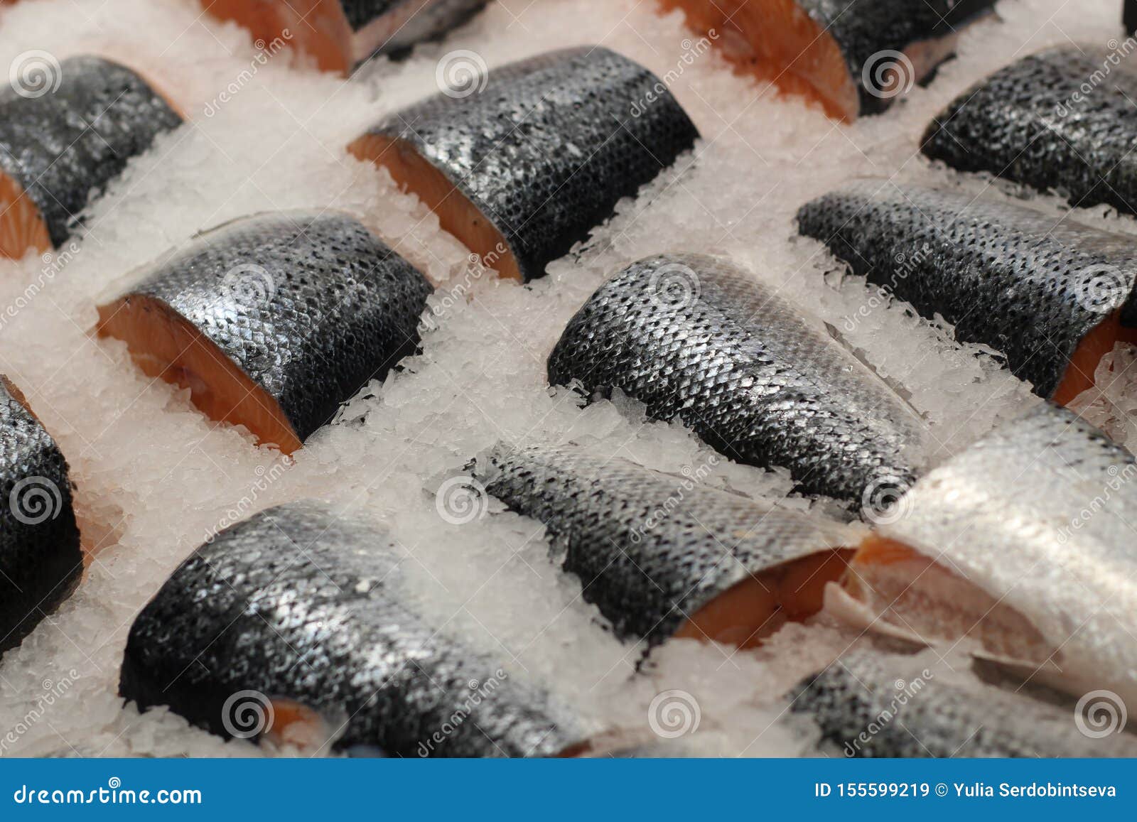Pieces of Frozen Red Fish in Ice Stock Image - Image of grocery, food ...