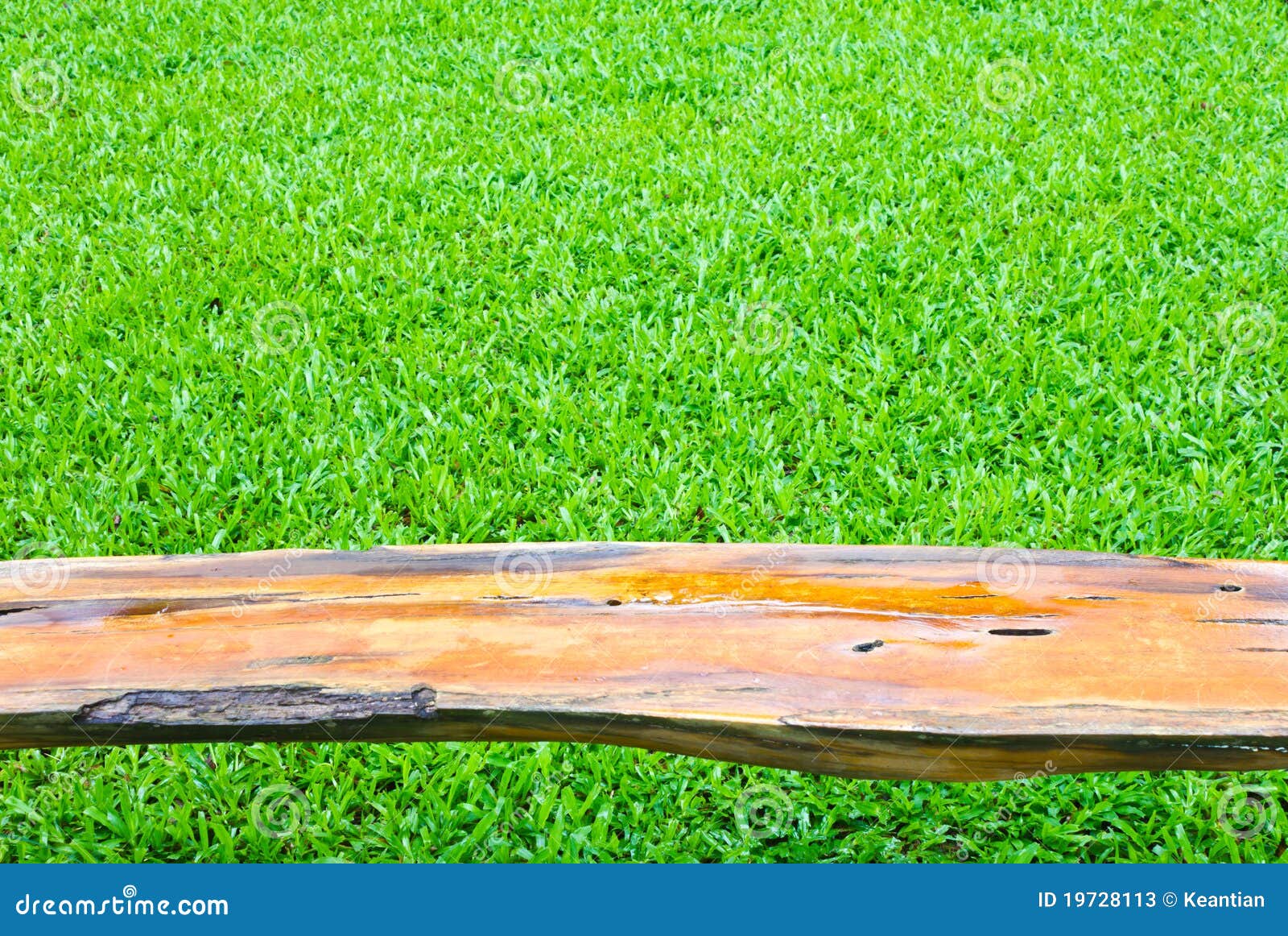 Pieces of grass. stock image. Image of ground, natural - 19728113