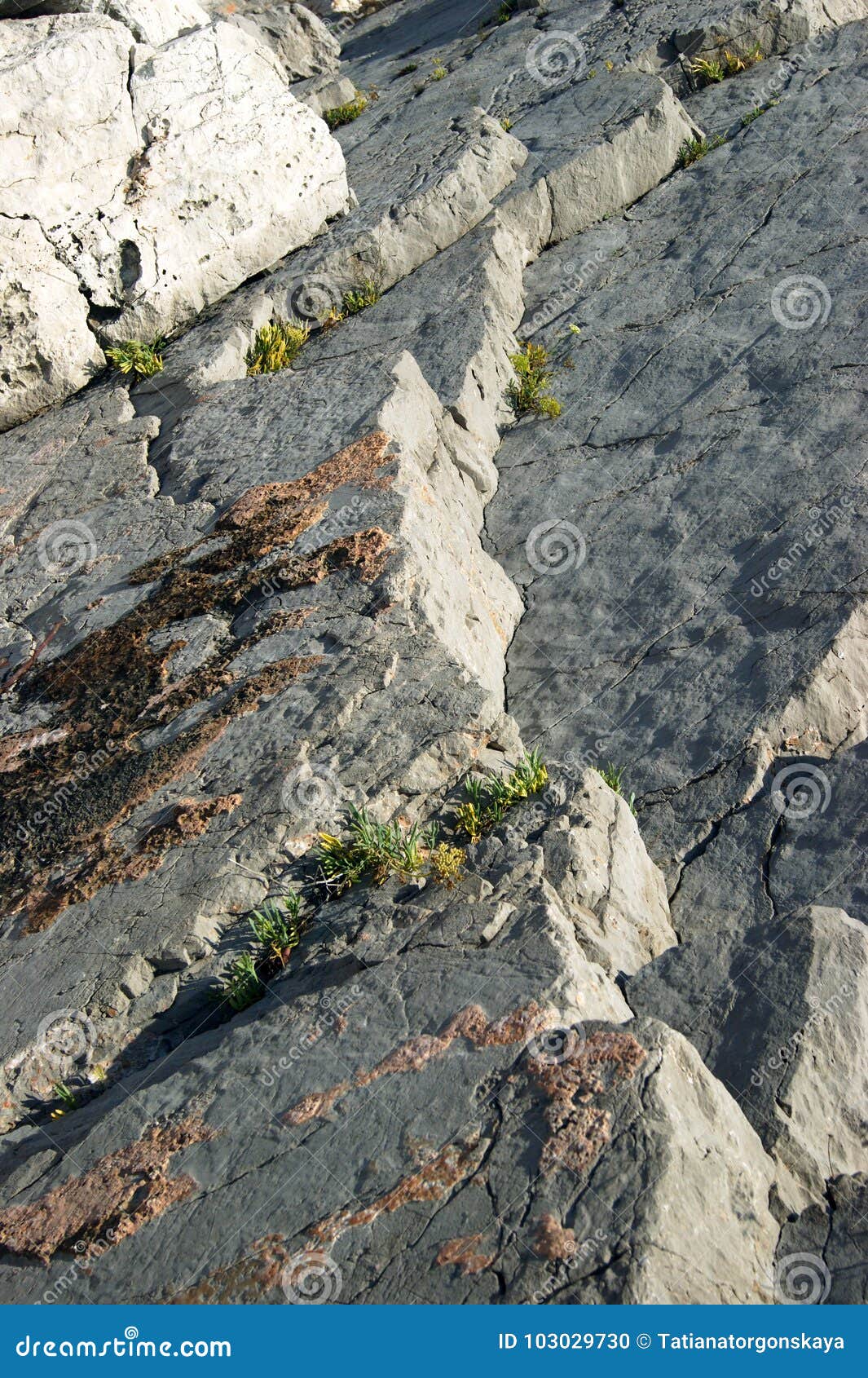 Pieces of gray sea cliffs stock photo. Image of naked - 103029730
