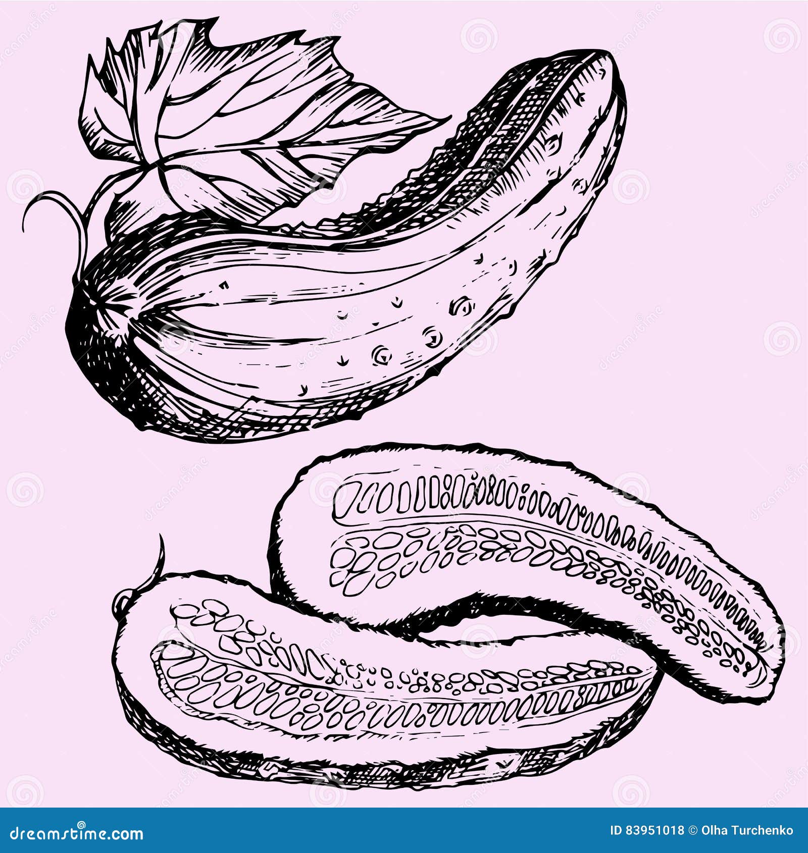 Pieces half cucumber stock vector. Illustration of grocery - 83951018