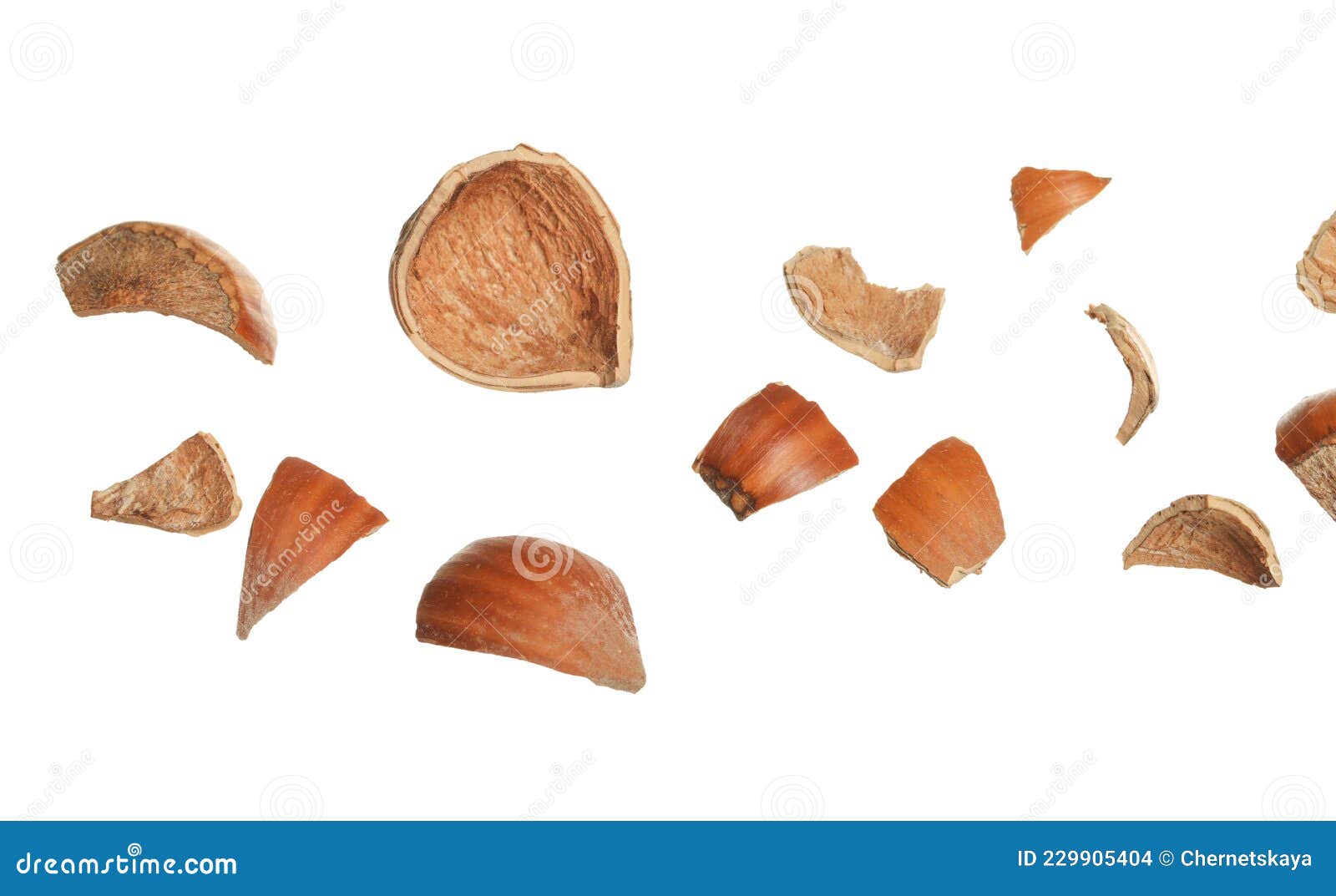 Pieces of Hazelnut Shell on White Stock Photo - Image of background ...