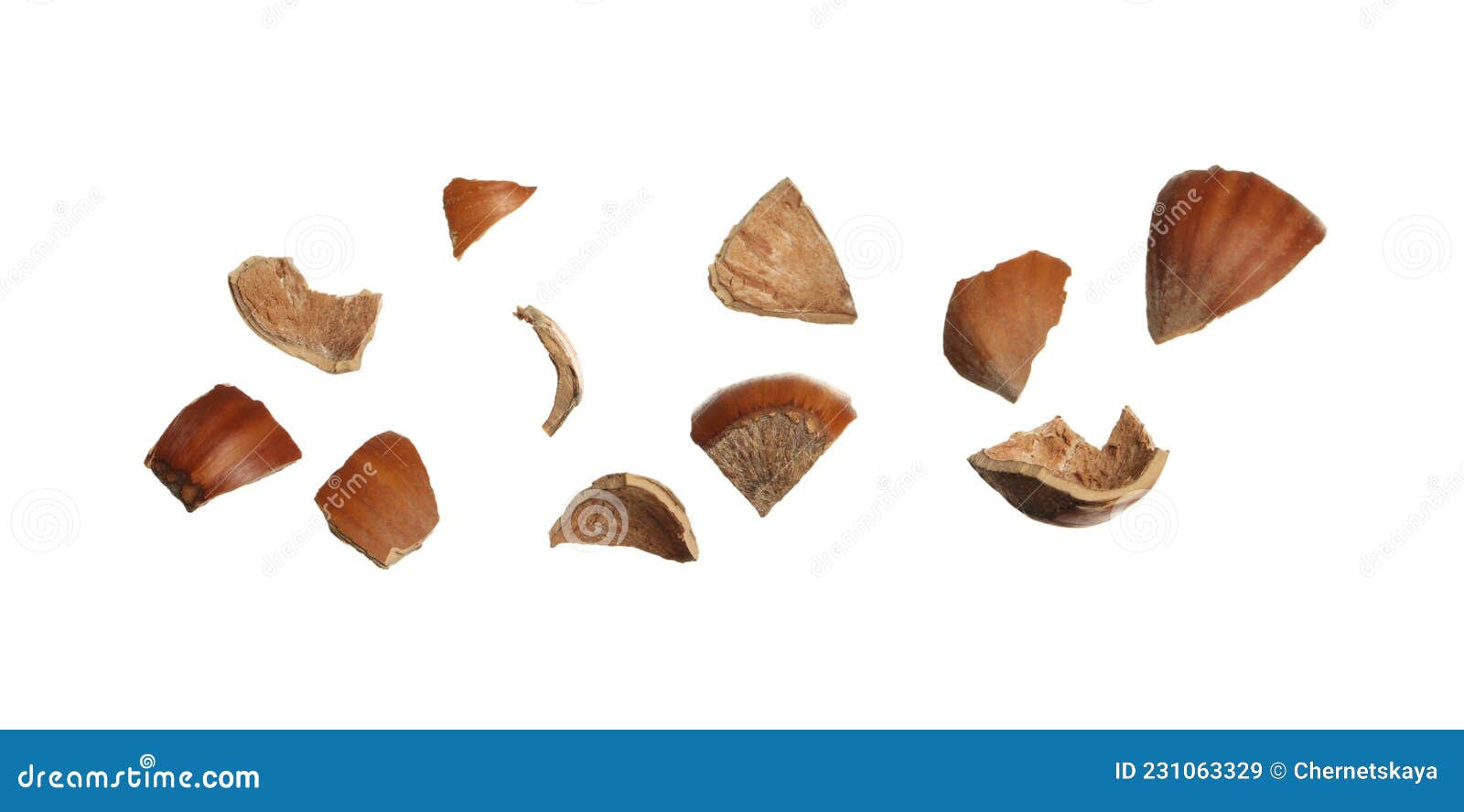 Pieces of Hazelnut Shell on White Background Stock Image - Image of ...