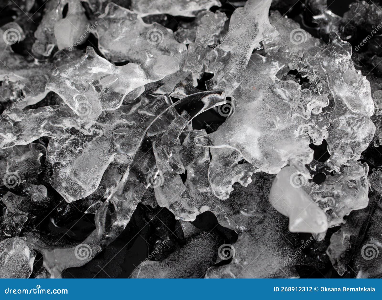 Pieces of Ice on a Black Background Stock Photo - Image of black, cold ...