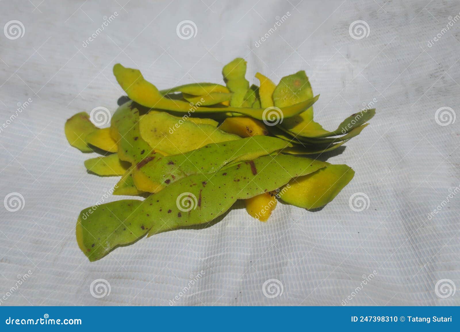 Pieces of mango peel stock photo. Image of yellow, shrub - 247398310