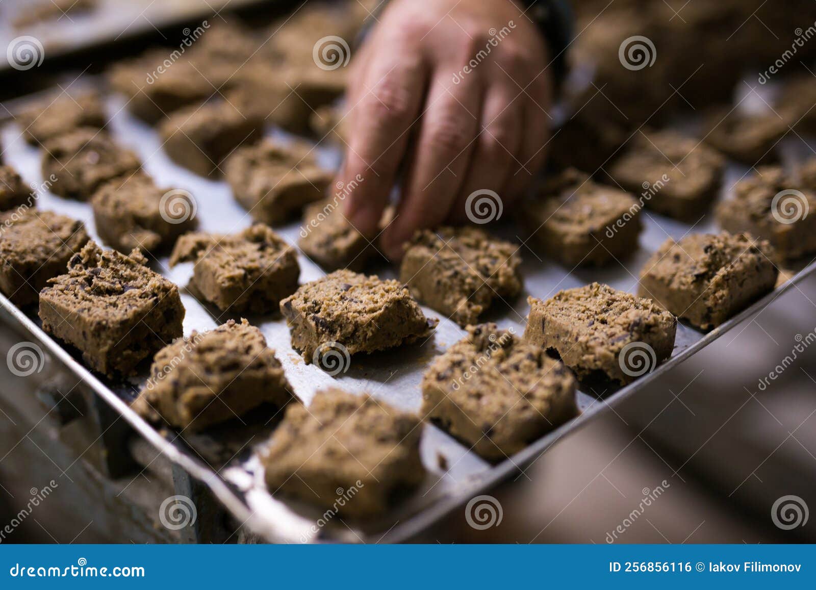 Dough on Tray, Process of Baking Bread Stock Photo - Image of kneading ...